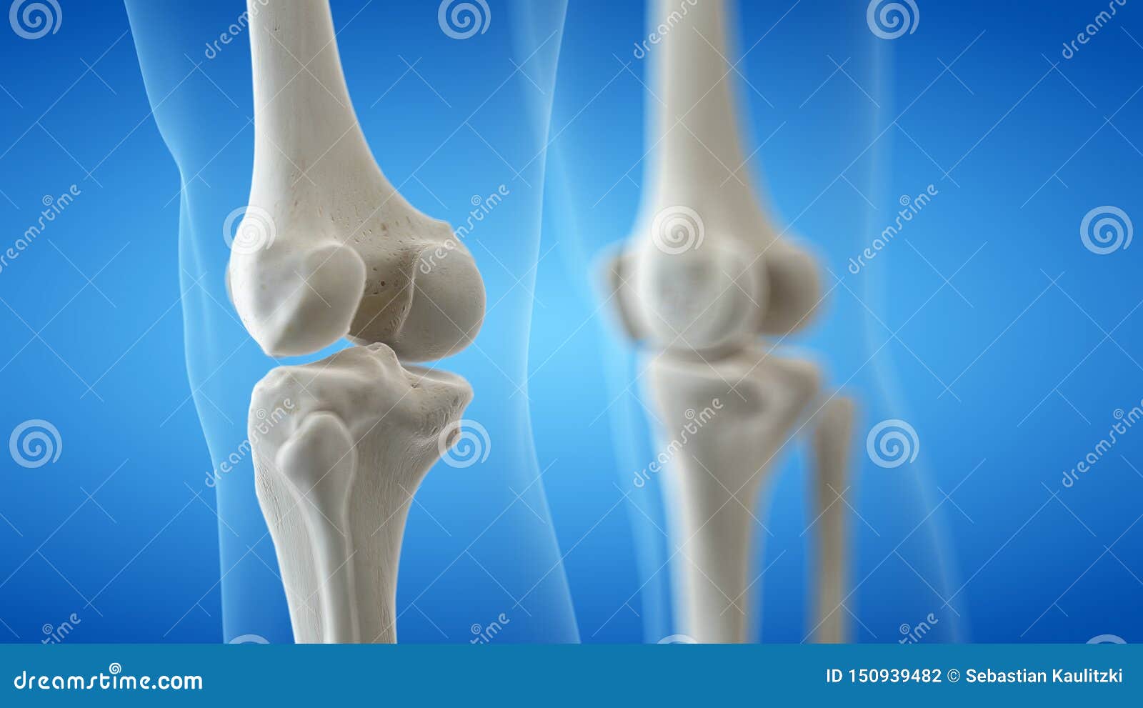 Knee Bones Vector. Human Bone And Joint Icon. | CartoonDealer.com ...