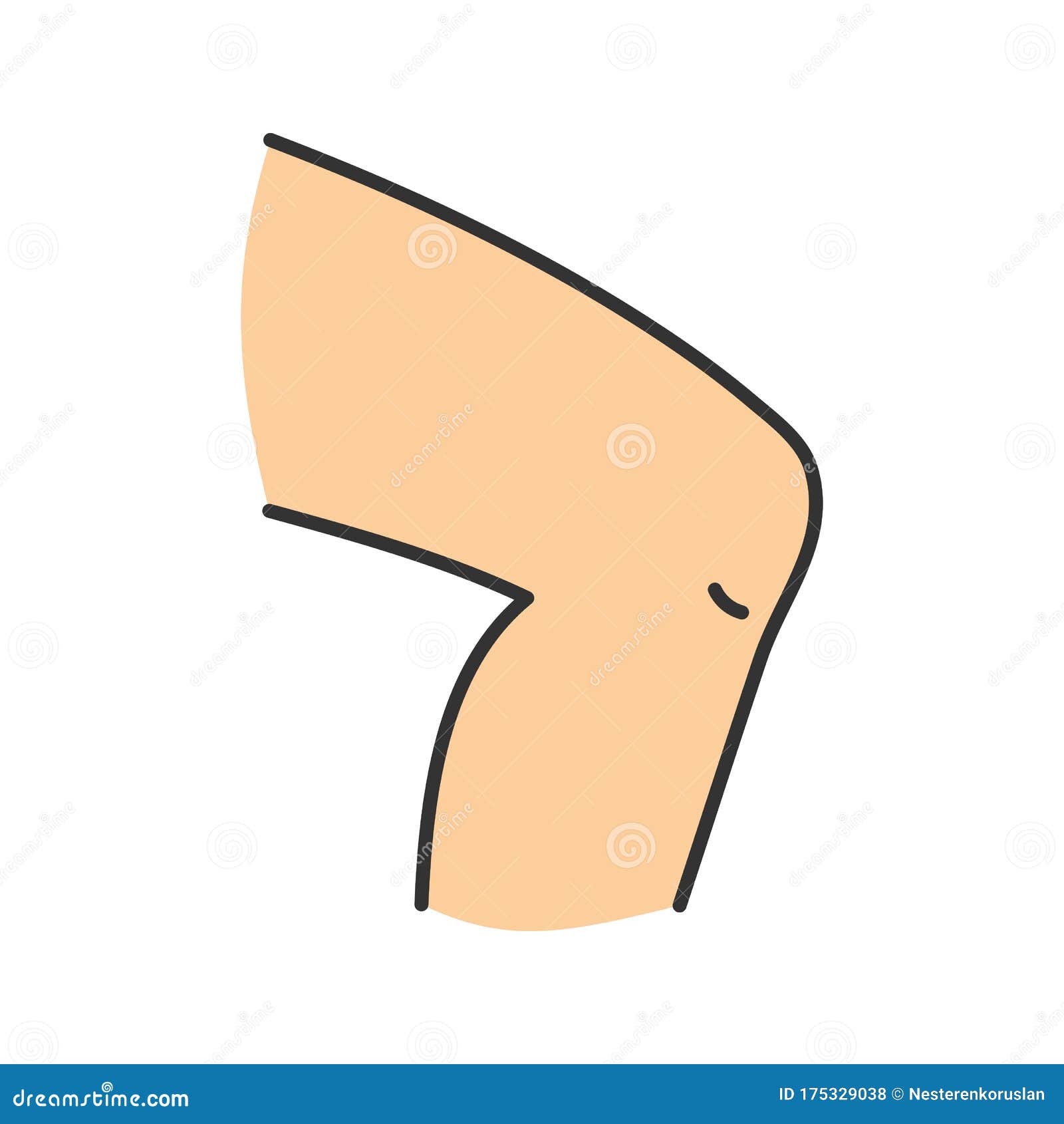 Stifle Joint Ligaments, Vintage Illustration Cartoon Vector ...