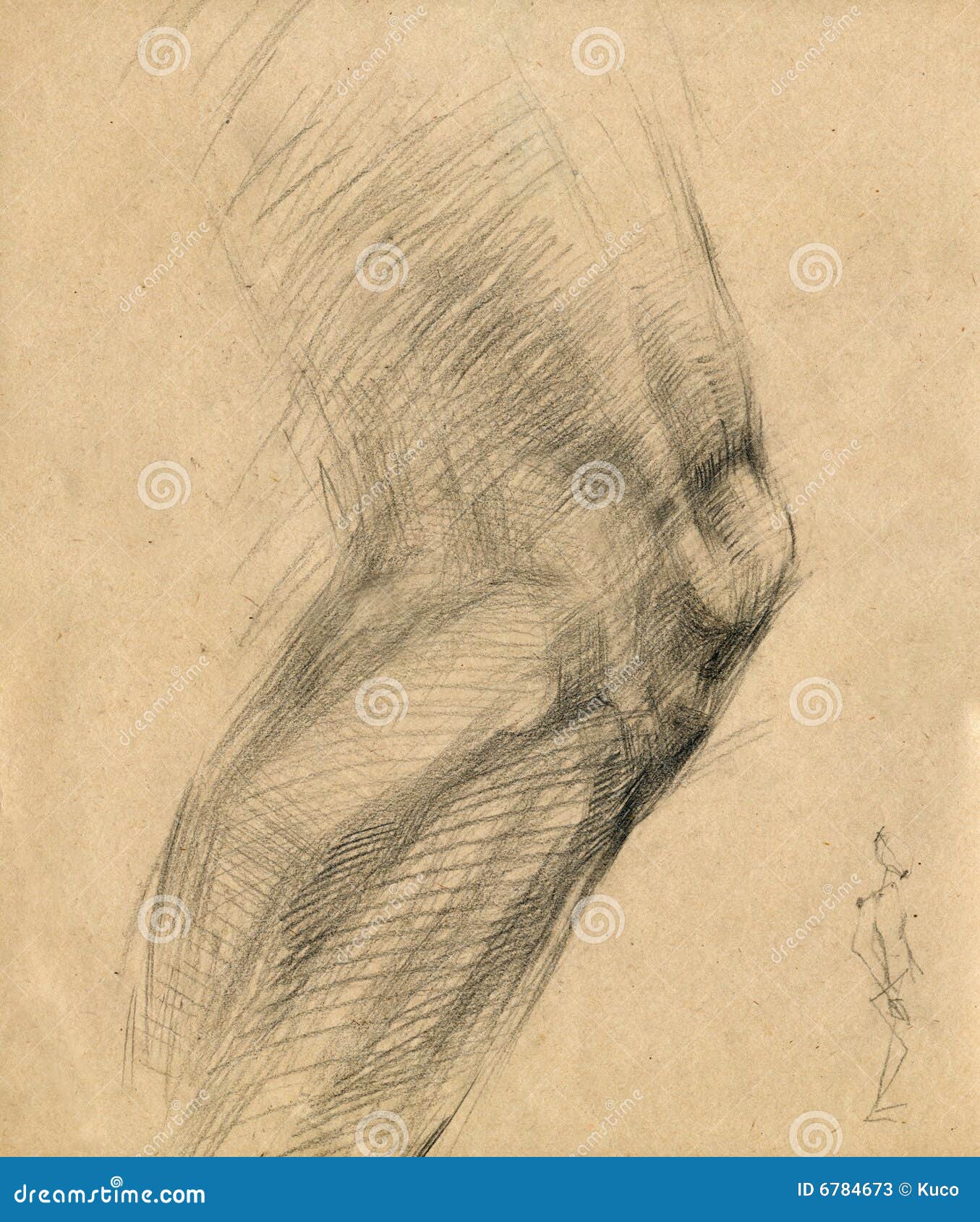 Knee - drawing stock illustration. Illustration of pencil - 6784673