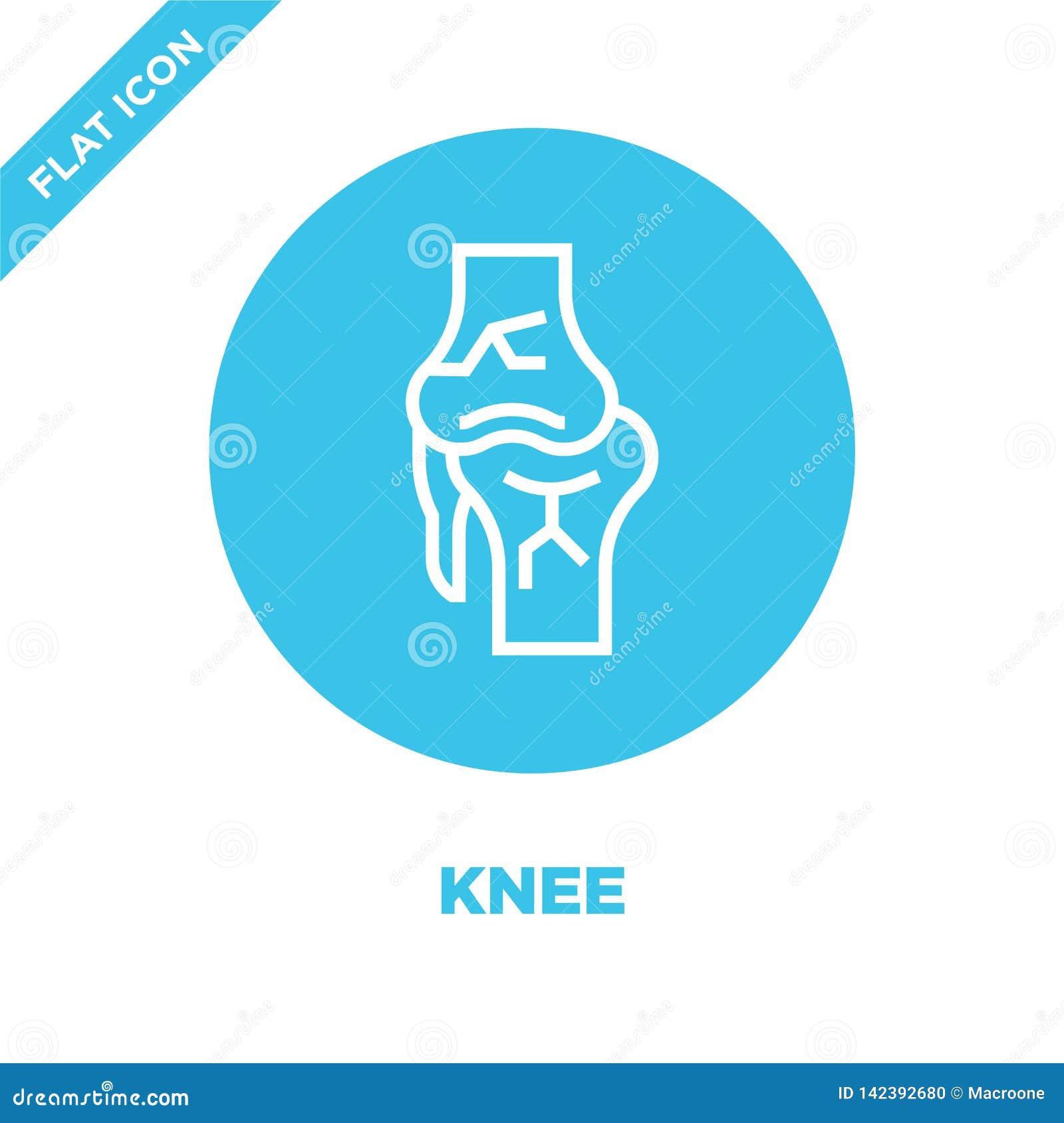 Knee Icon Vector from Human Organs Collection. Thin Line Knee Outline ...
