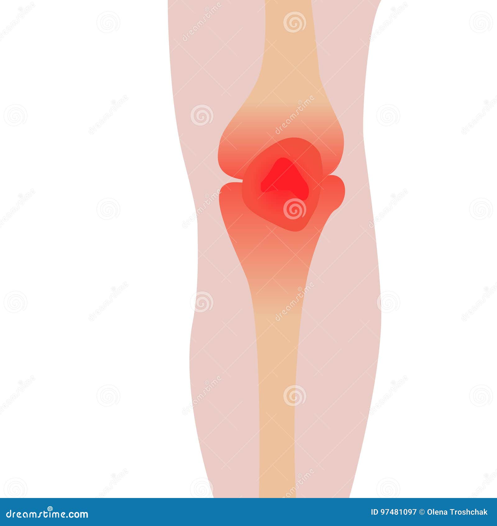 Inner Knee Bones Structure Line Icon, Concept Sign, Outline Vector ...
