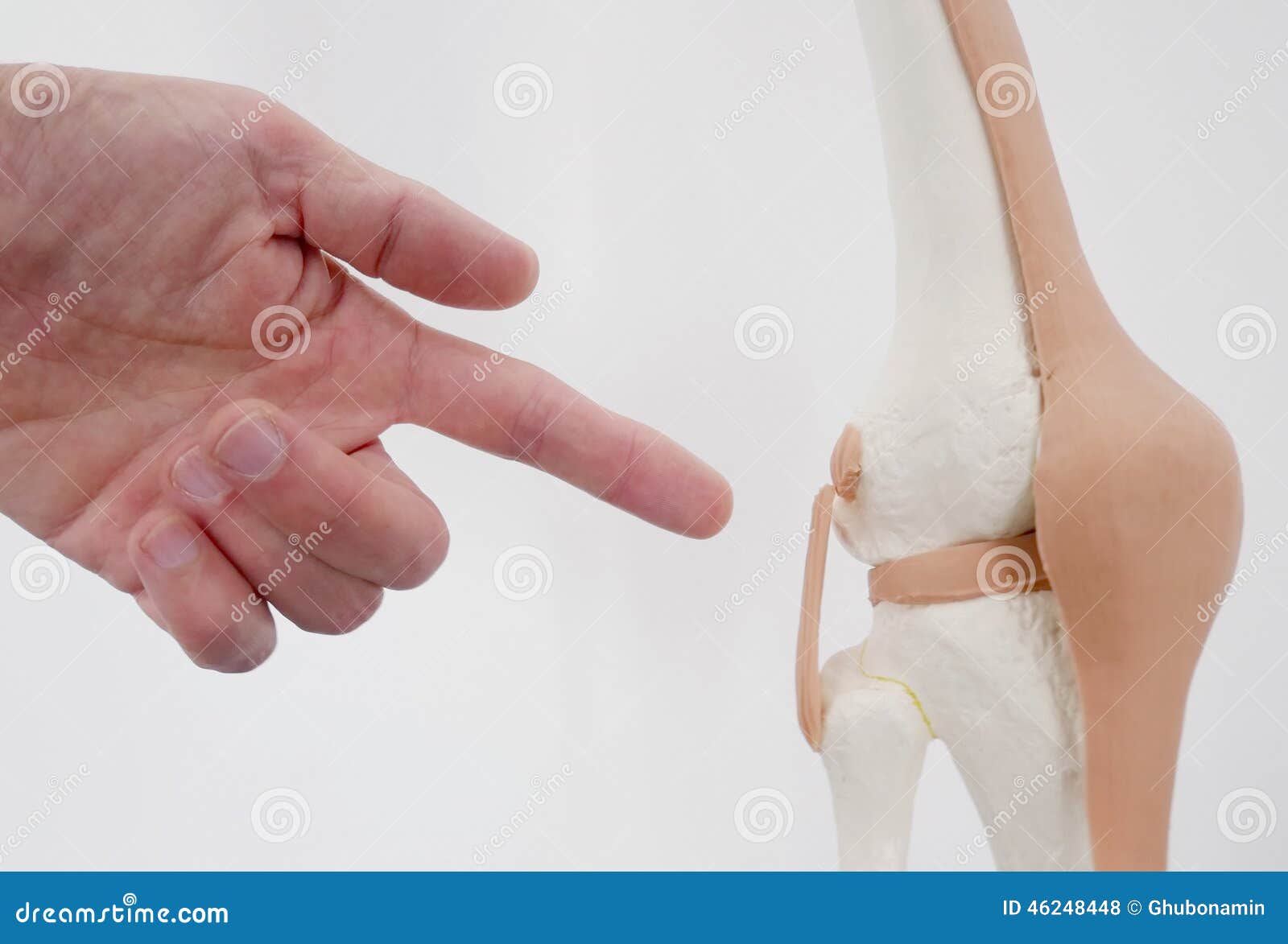 Knee joint doctor stockfoto. Bild von ausdehnen, chiropraktor - 46248448