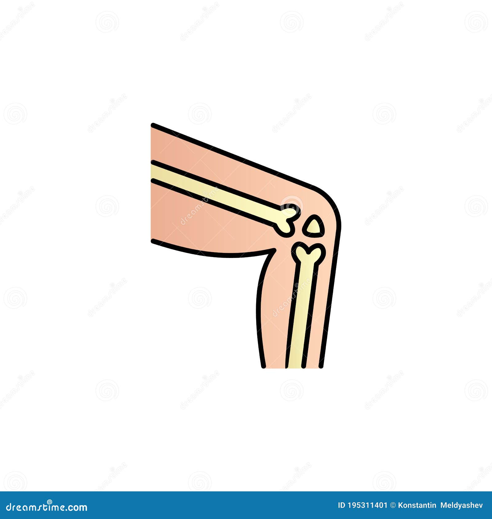 Knee, Leg, Bone Color Gradient Vector Icon Stock Illustration ...