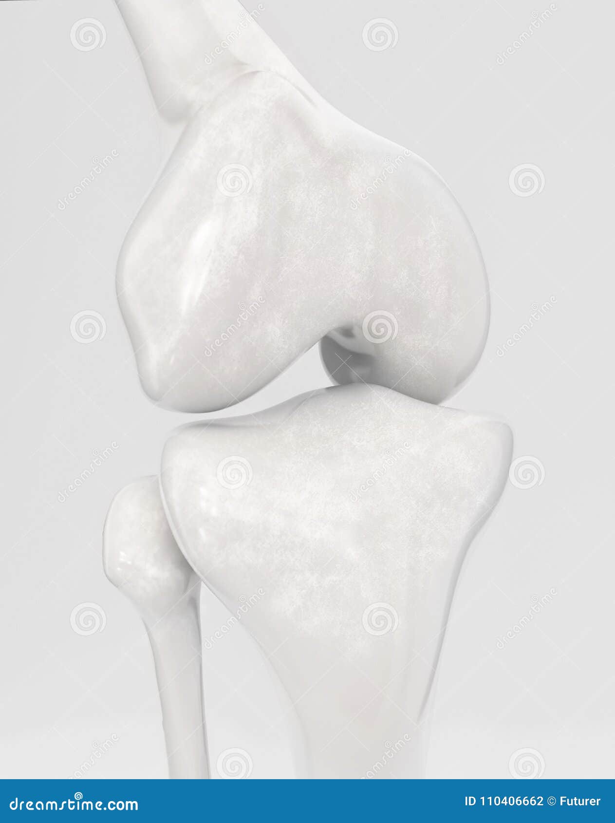 Knee without Modern Knee Prosthesis - 3D Rendering Stock Illustration ...