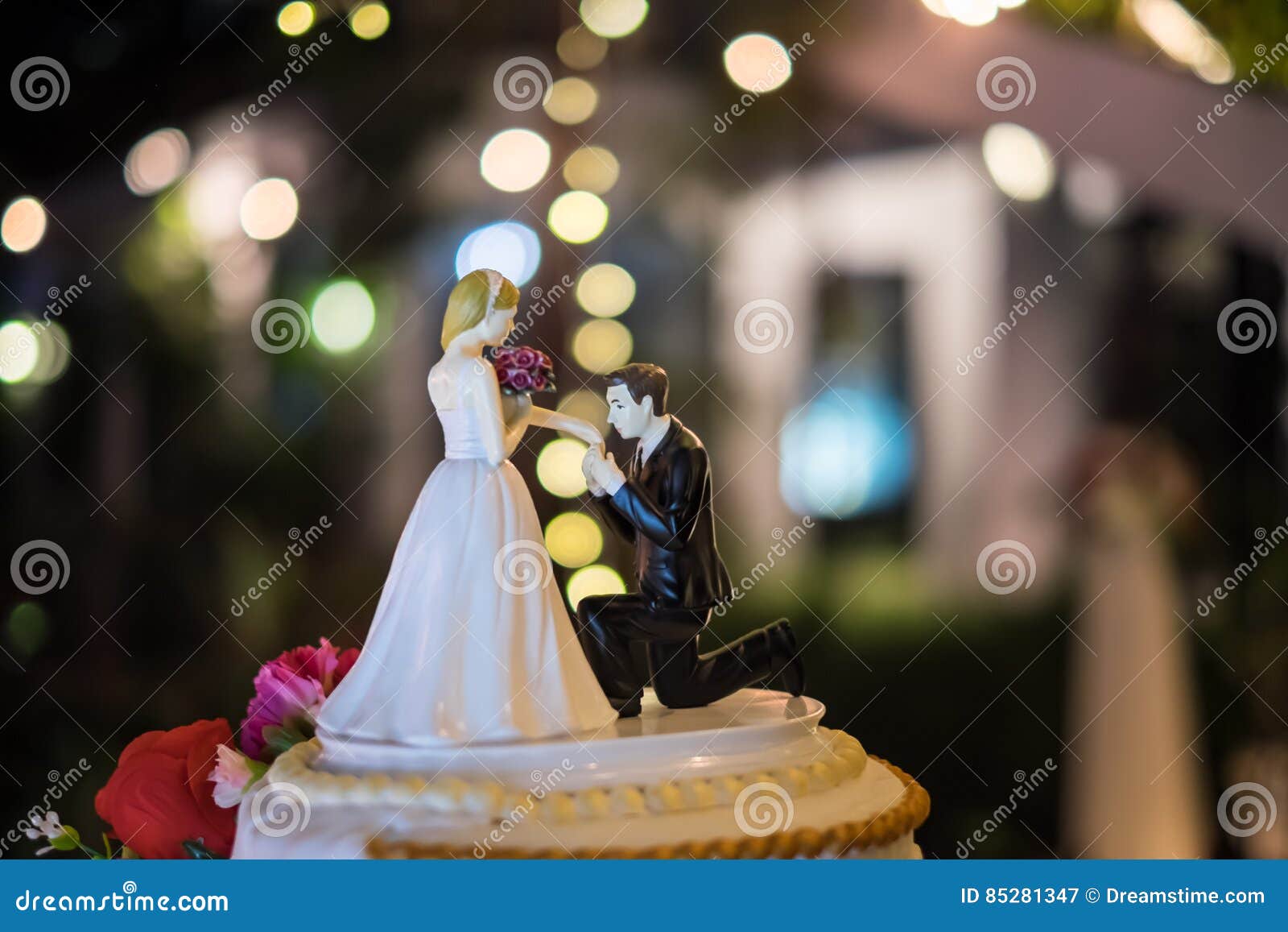 Knee Propose Royalty-Free Stock Image | CartoonDealer.com #85251010 Knee Propose Royalty-Free Stock Image | CartoonDealer.com #85251010