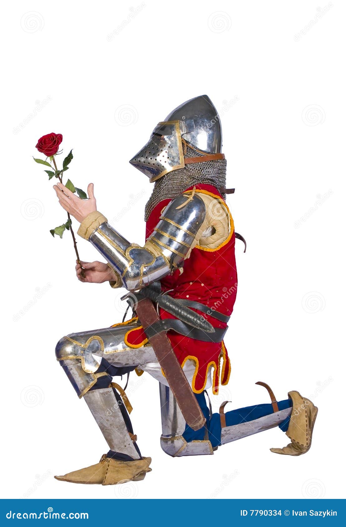 Kneeled knight stock photo. Image of rose, helmet, bachelor - 7790334