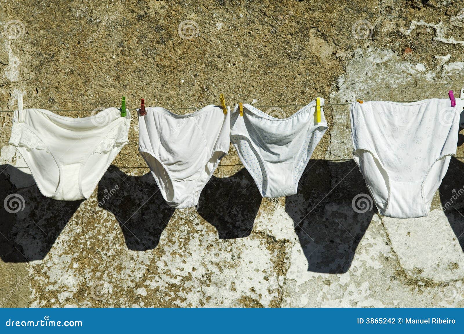 Knickers stock photo. Image of clothesline, hanging, clip - 3865242