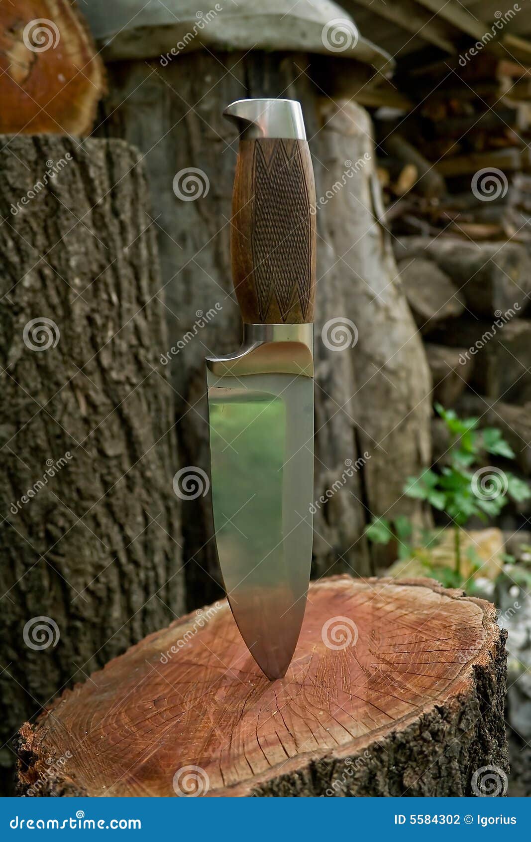 Knife stock photo. Image of hack, tool, brightly, hook - 5584302