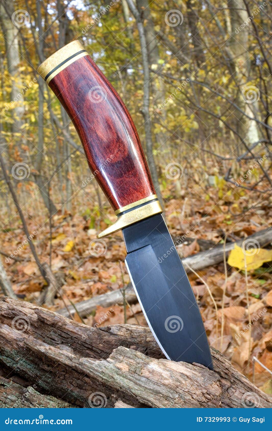 Knife stock image. Image of wood, fall, forest, blade - 7329993