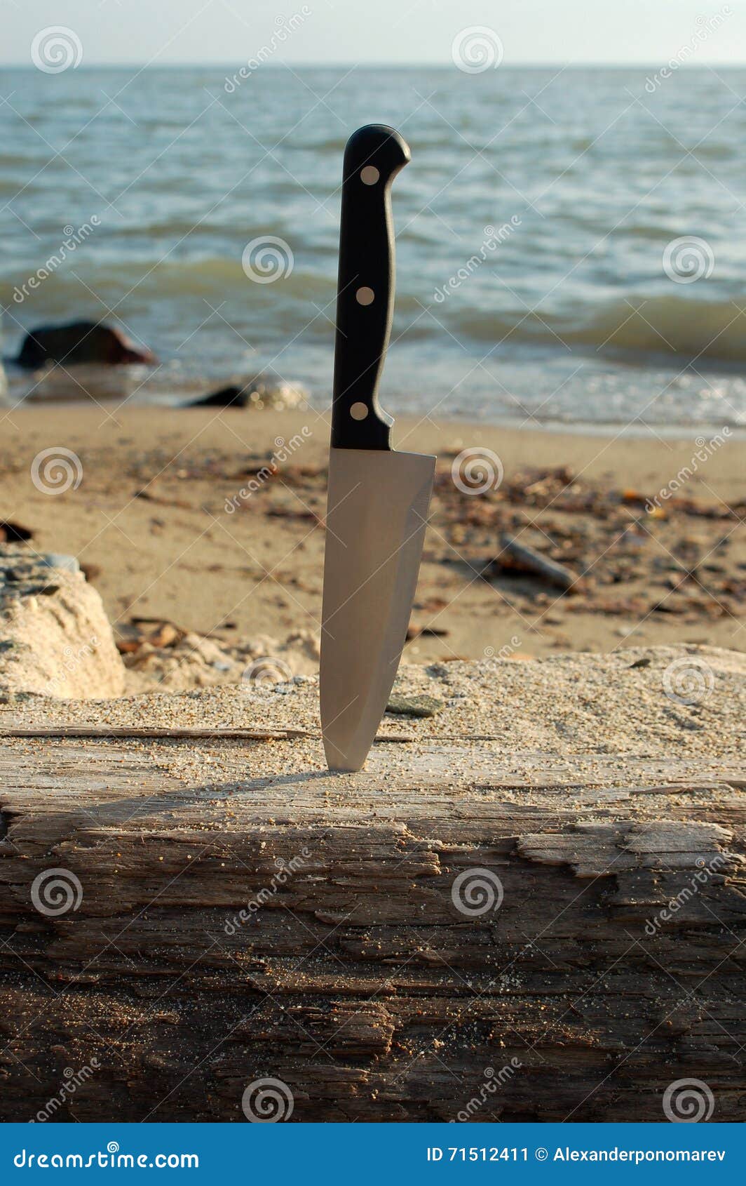 Knife in a log stock image. Image of tool, objects, outdoors - 71512411