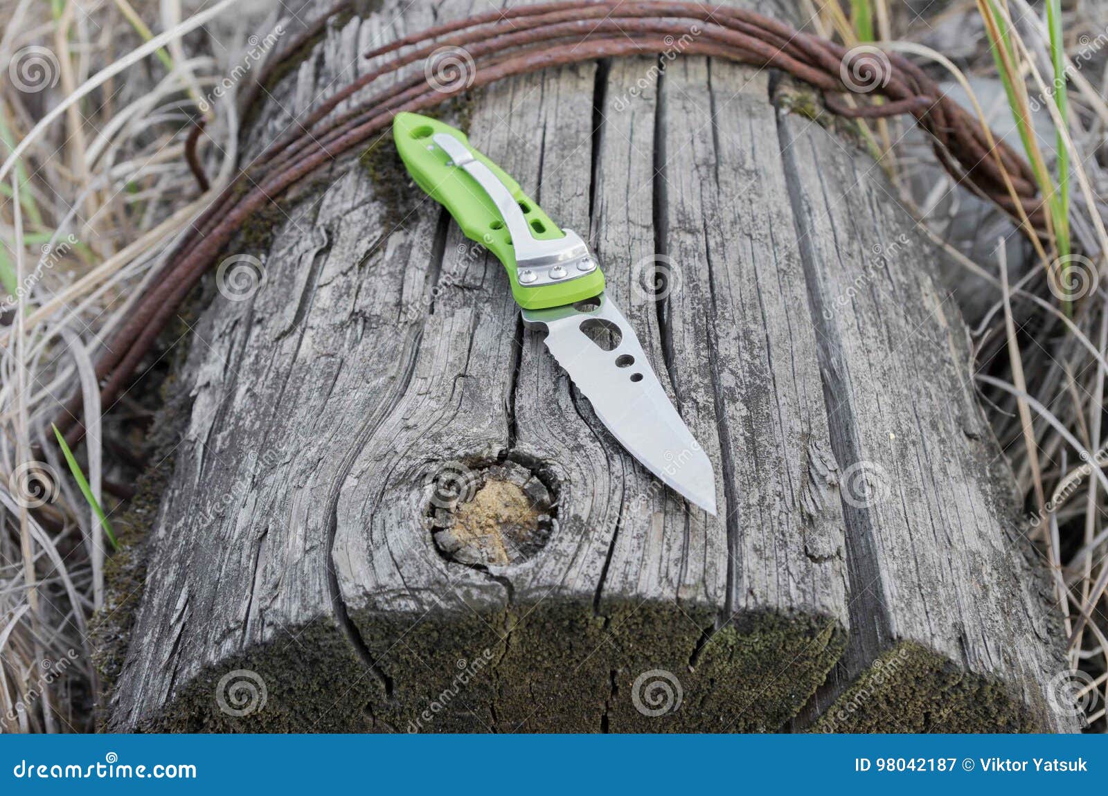 Knife with a Serration Blade. Old Stump. Clouse-up Stock Image - Image ...