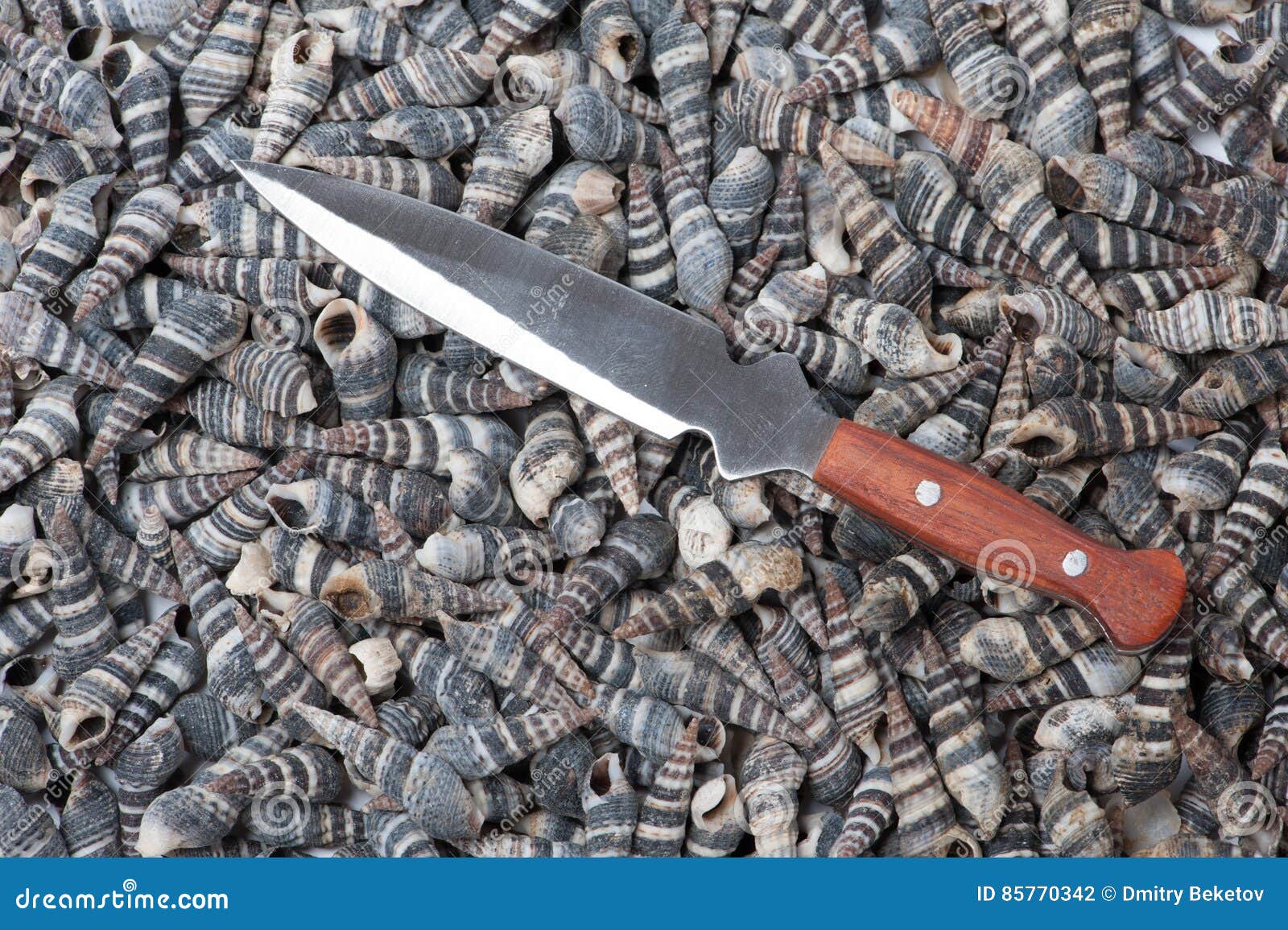 Knife on shells stock photo. Image of steel, metal, heap - 85770342