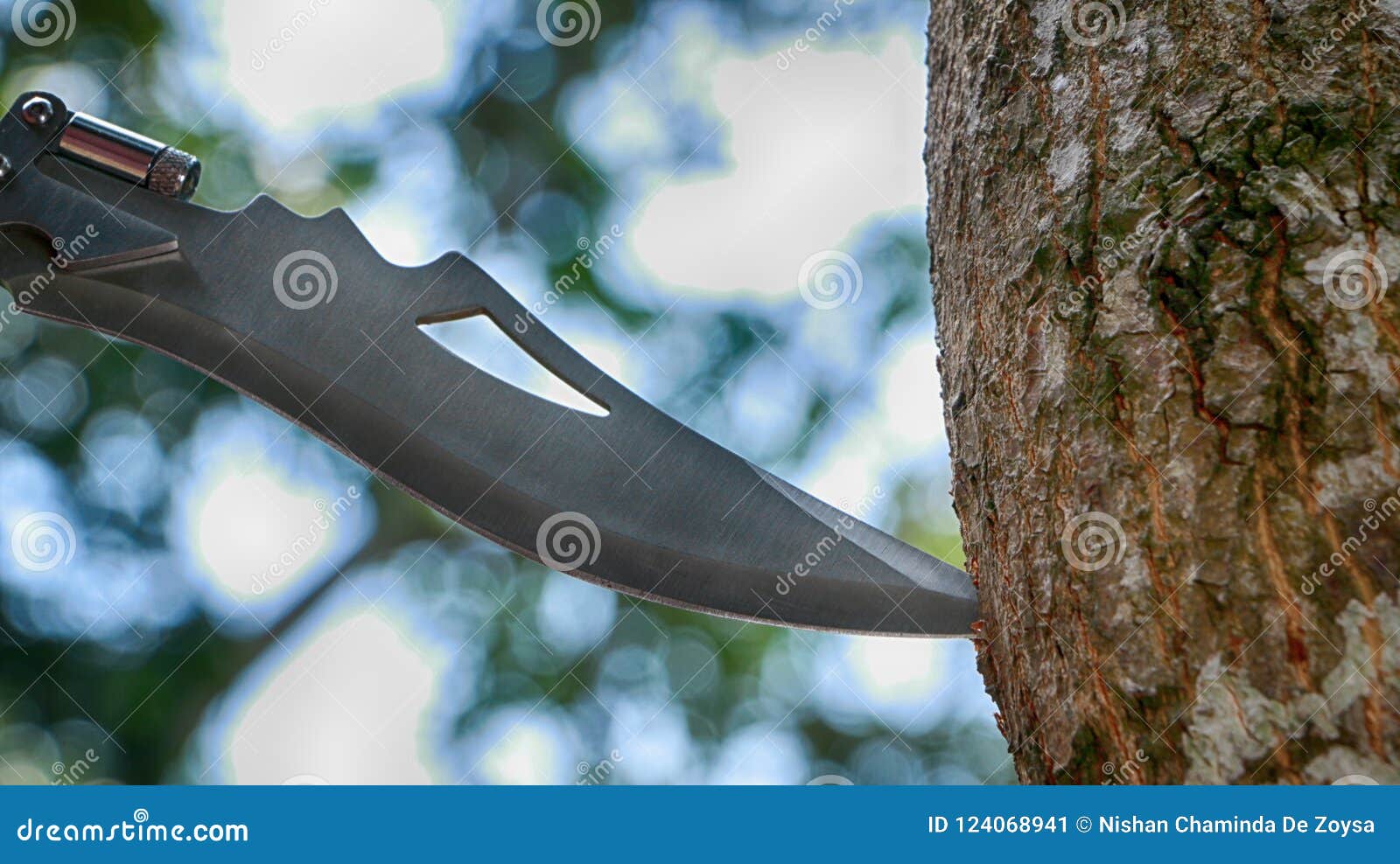 Knife Stuck on Tree stock image. Image of blade, steel - 124068941