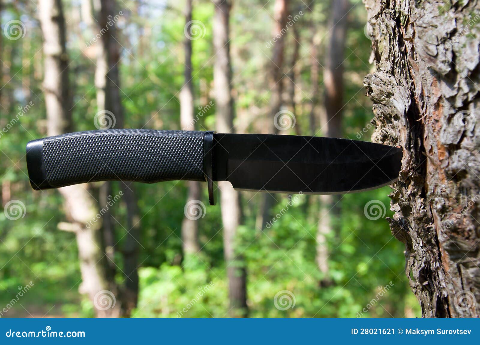854 Trunk Tree Knife Photos - Free & Royalty-Free Stock Photos from ...