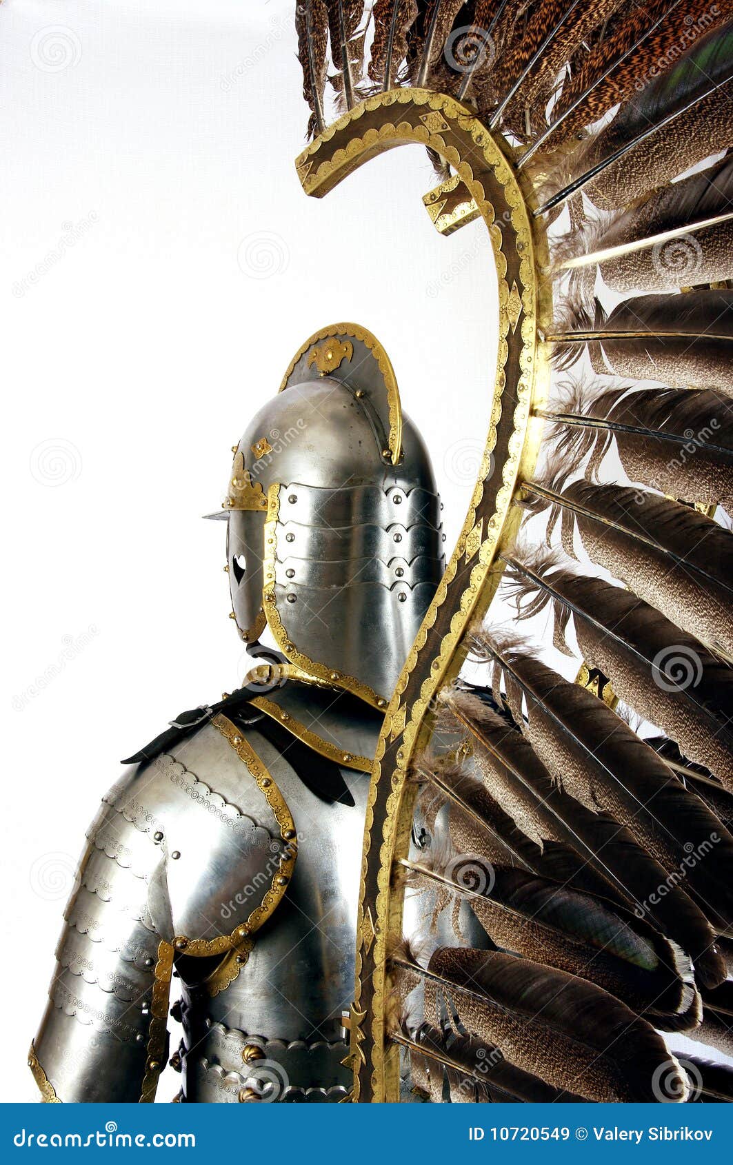Knight stock image. Image of medieval, defender, armour - 10720549