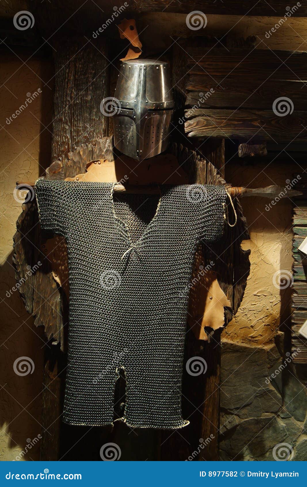Knight stock photo. Image of army, leaf, coat, medieval - 8977582