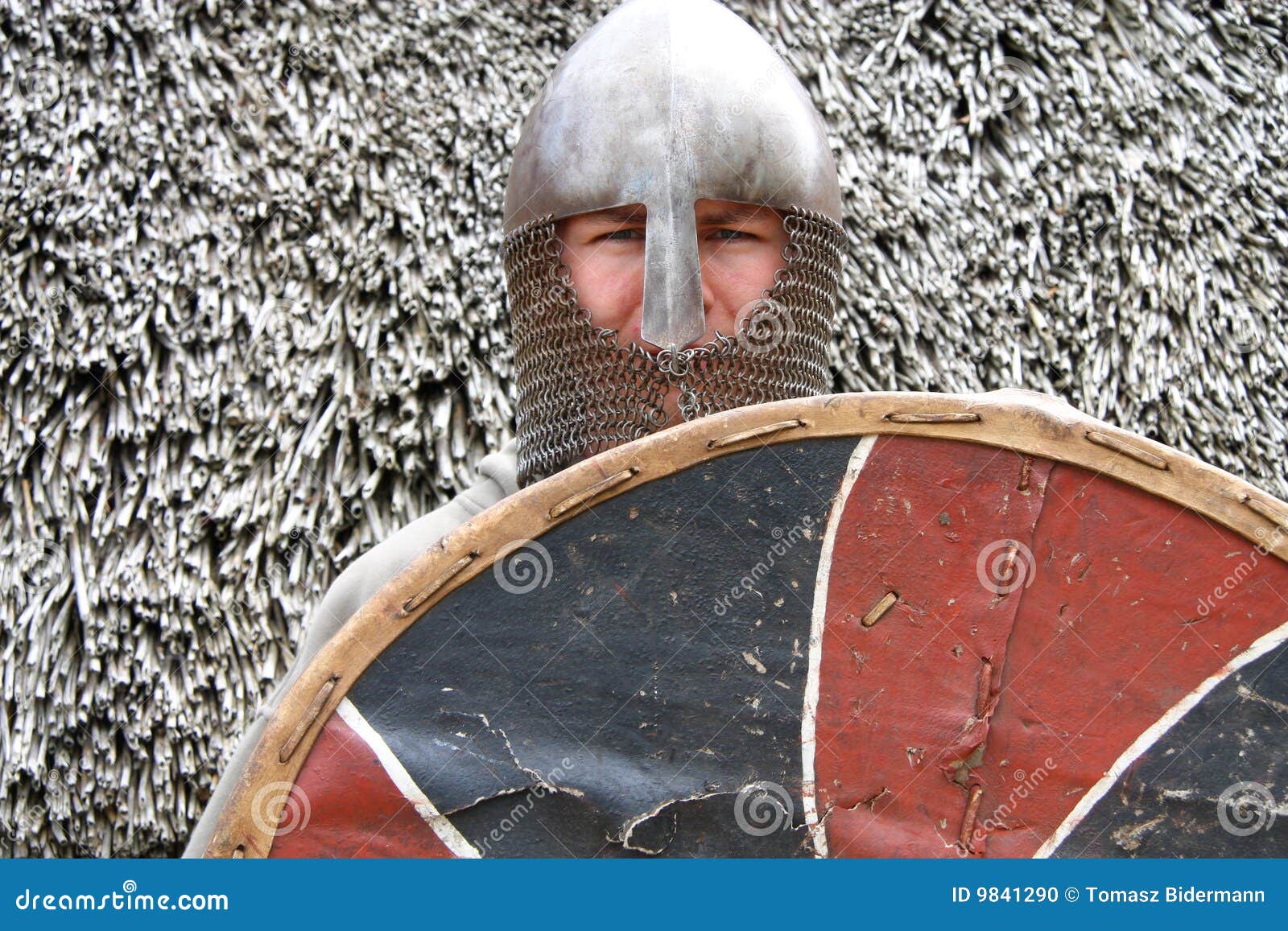 Knight stock photo. Image of armor, design, baltic, viking - 9841290