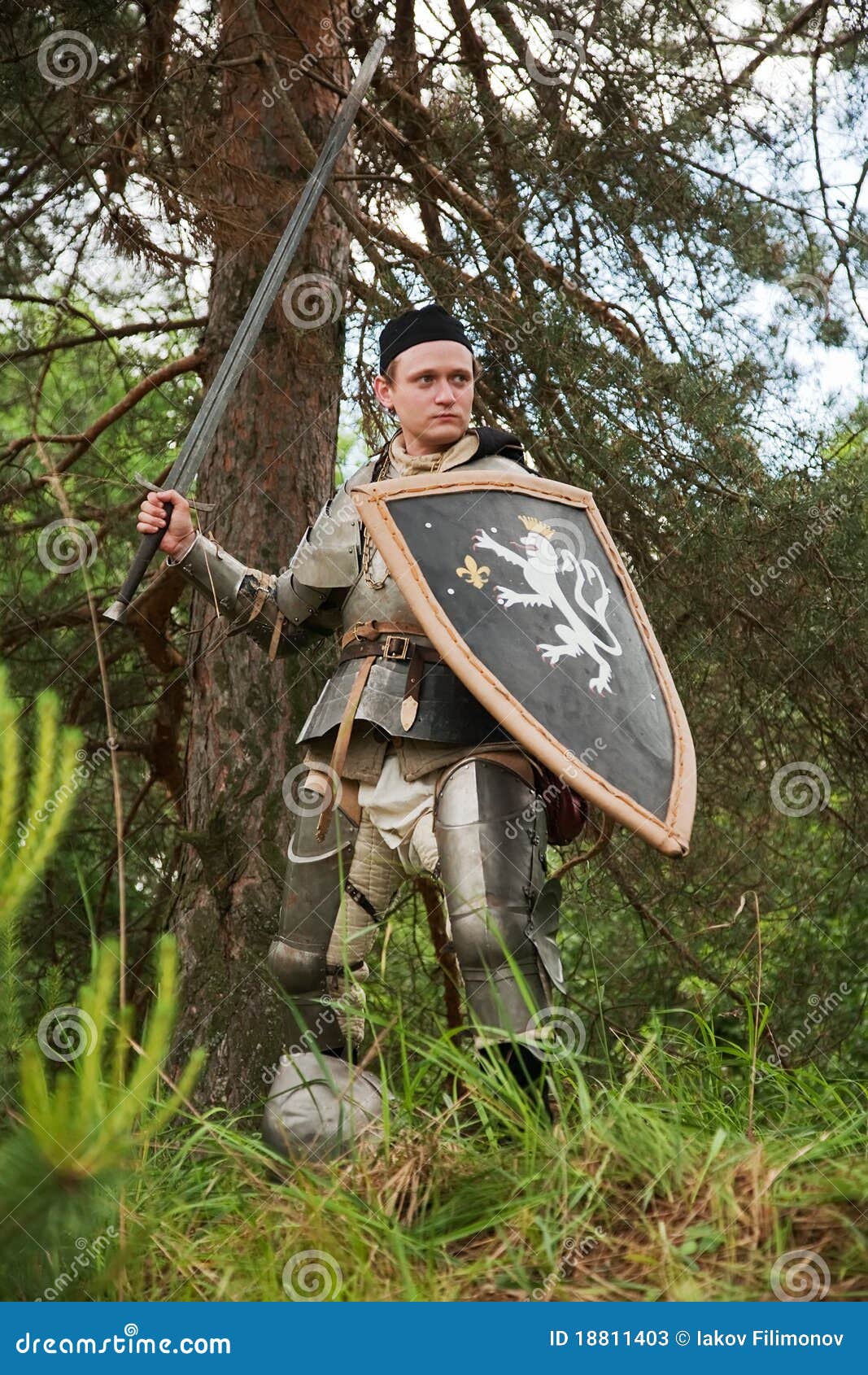 Knight in armor stock image. Image of emblem, armour - 18811403