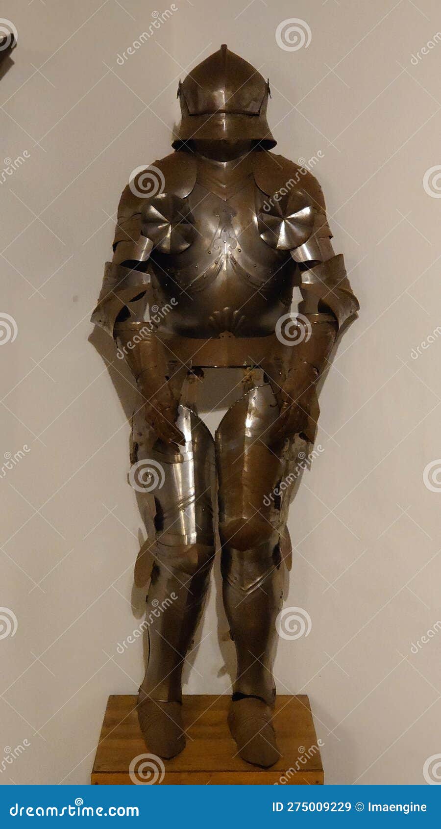 Knight Armour at Bran Castle, Romania Editorial Stock Image - Image of ...