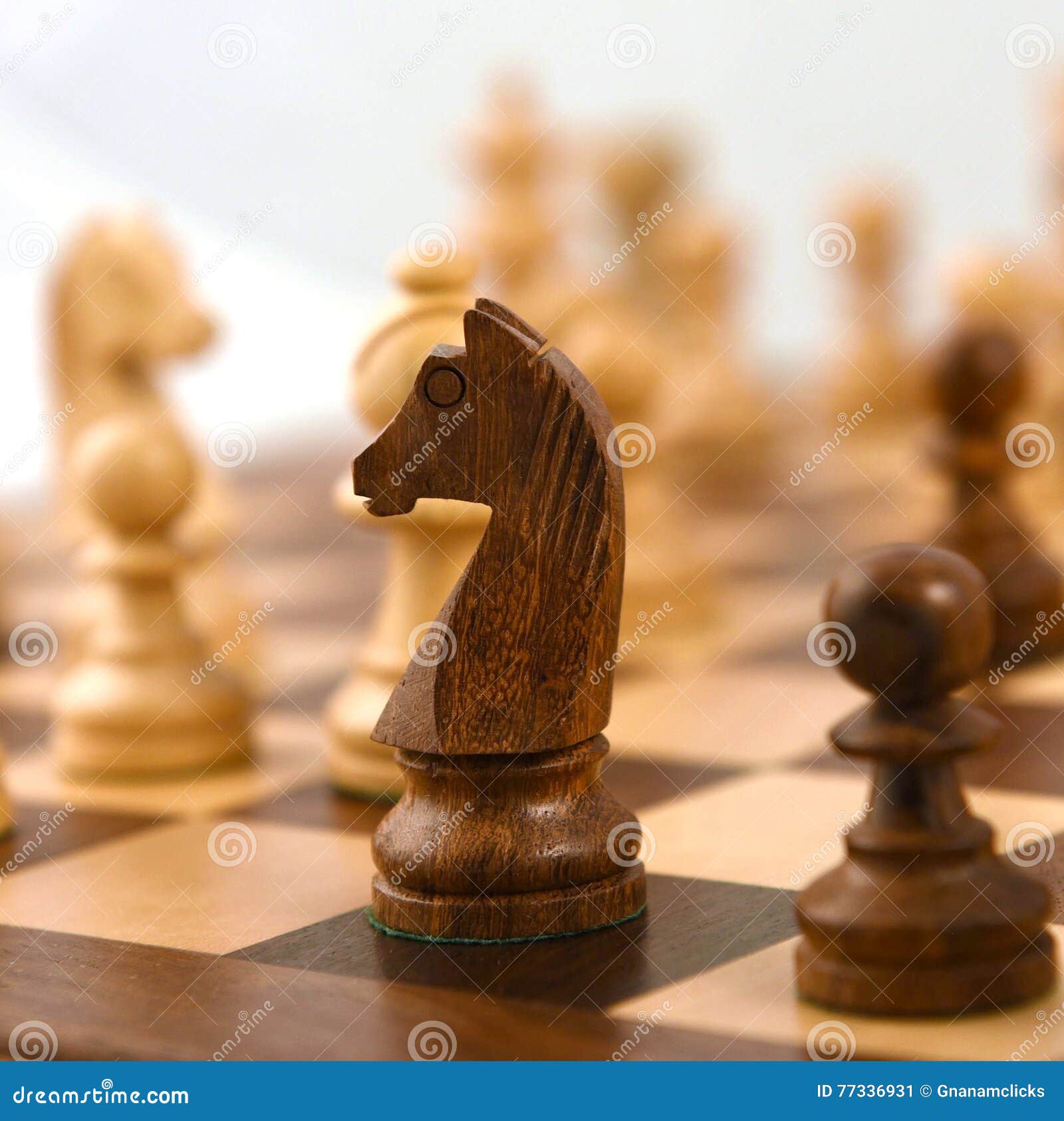 KNIGHT on the CHESS BOARD stock image. Image of play - 77336931