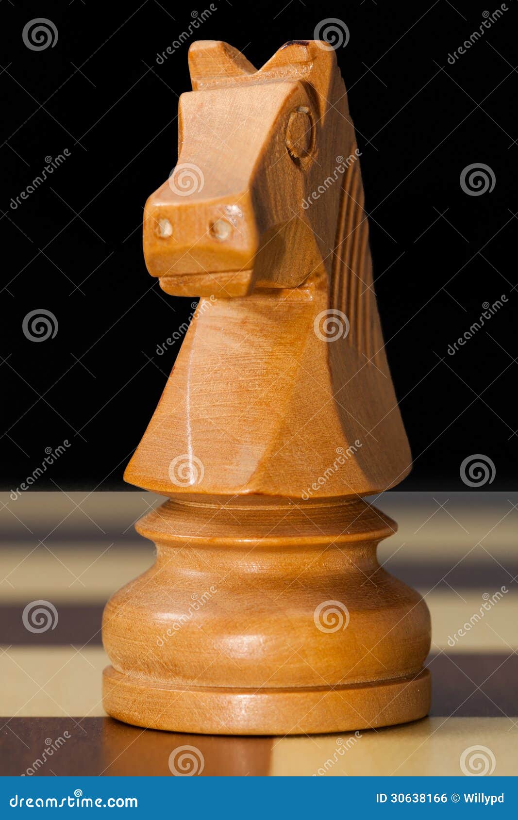 Knight chess stock photo. Image of chess, battle, concept - 30638166