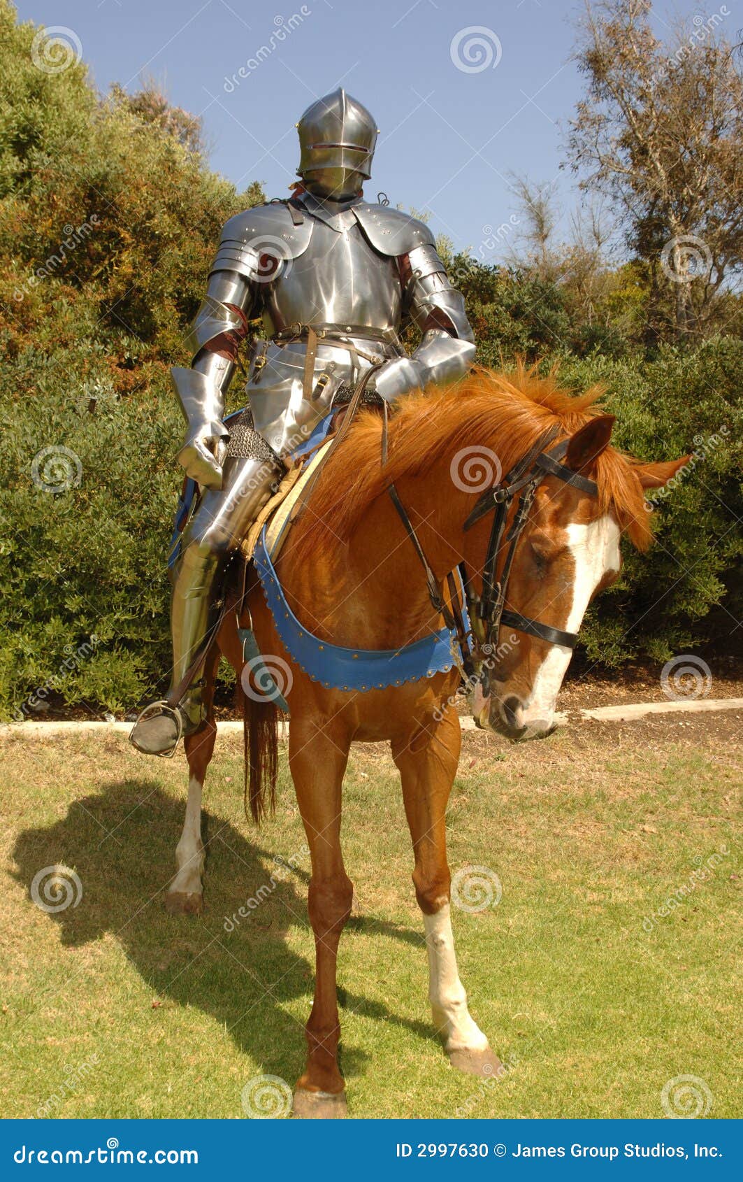 Knight on horseback vertical