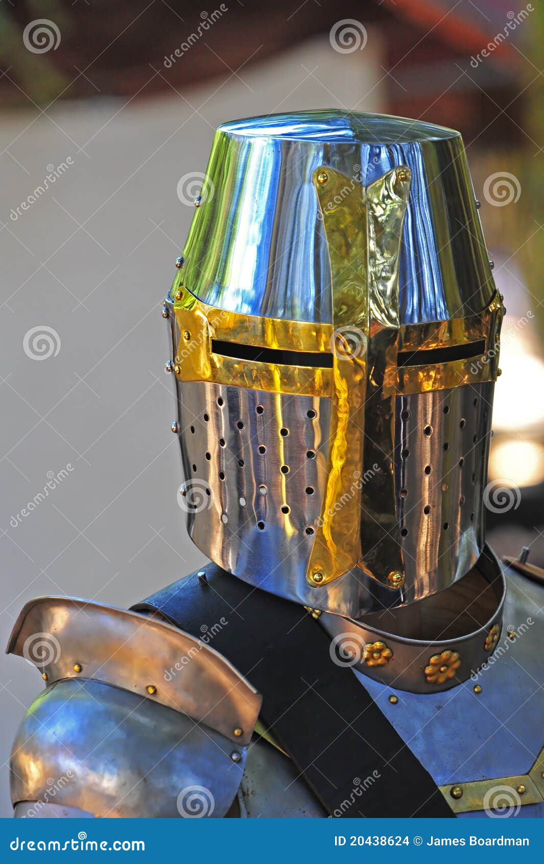 Knight Portrait stock photo. Image of historical, knight - 20438624
