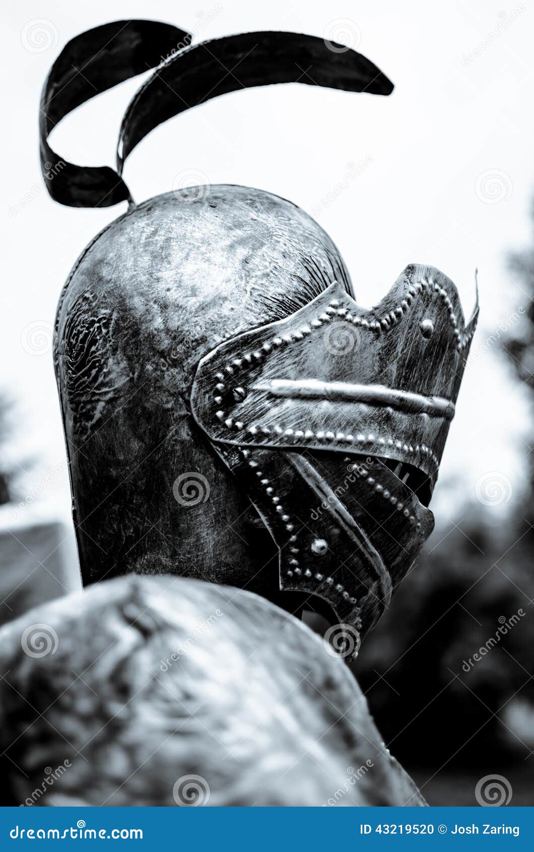 Knight profile stock photo. Image of metal, sword, knight - 43219520