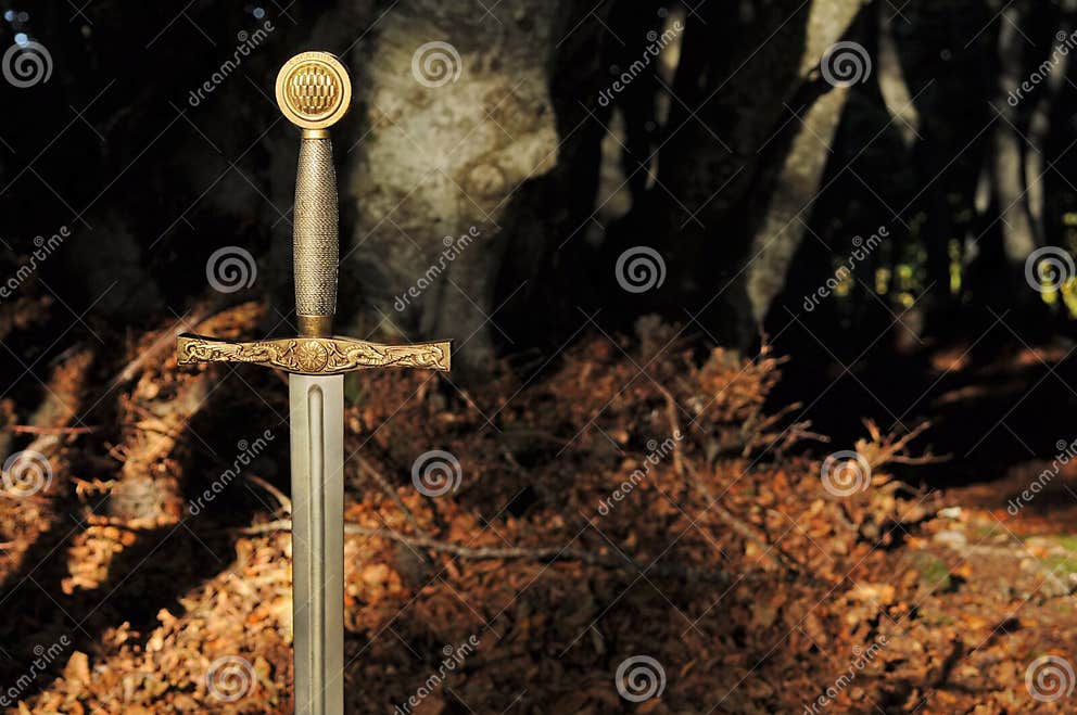 Knight sword in forest stock image. Image of handle, magic - 27311777