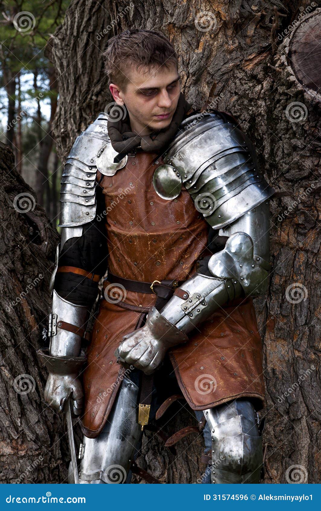 Knight with the Sword Near the Tree Stock Photo - Image of knight ...