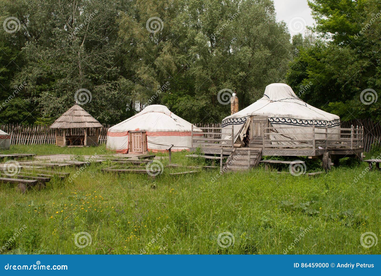 Knight stock photo. Image of canopy, game, match, grass - 86459000