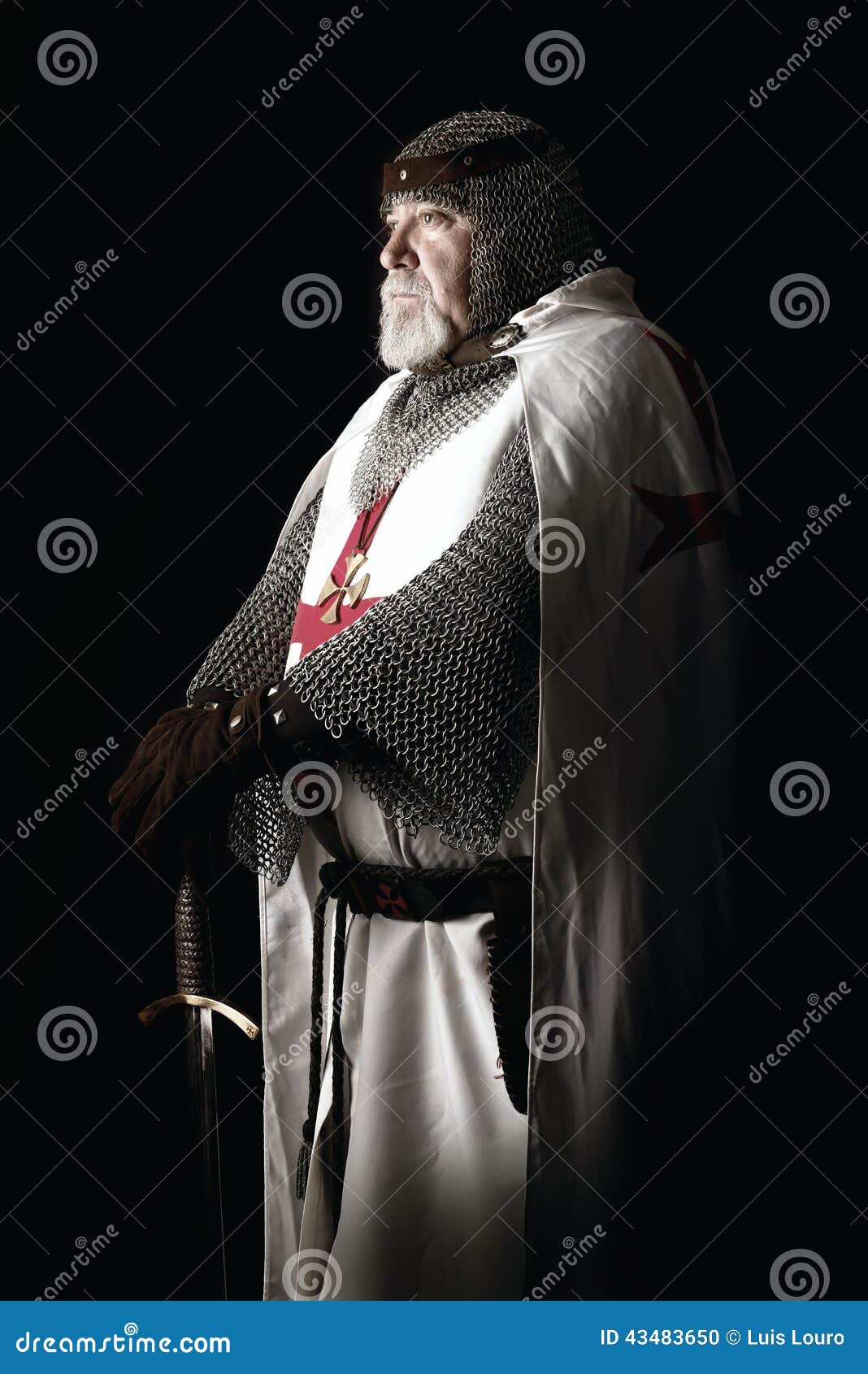 Knight Templar stock photo. Image of empire, sword, europe - 43483650