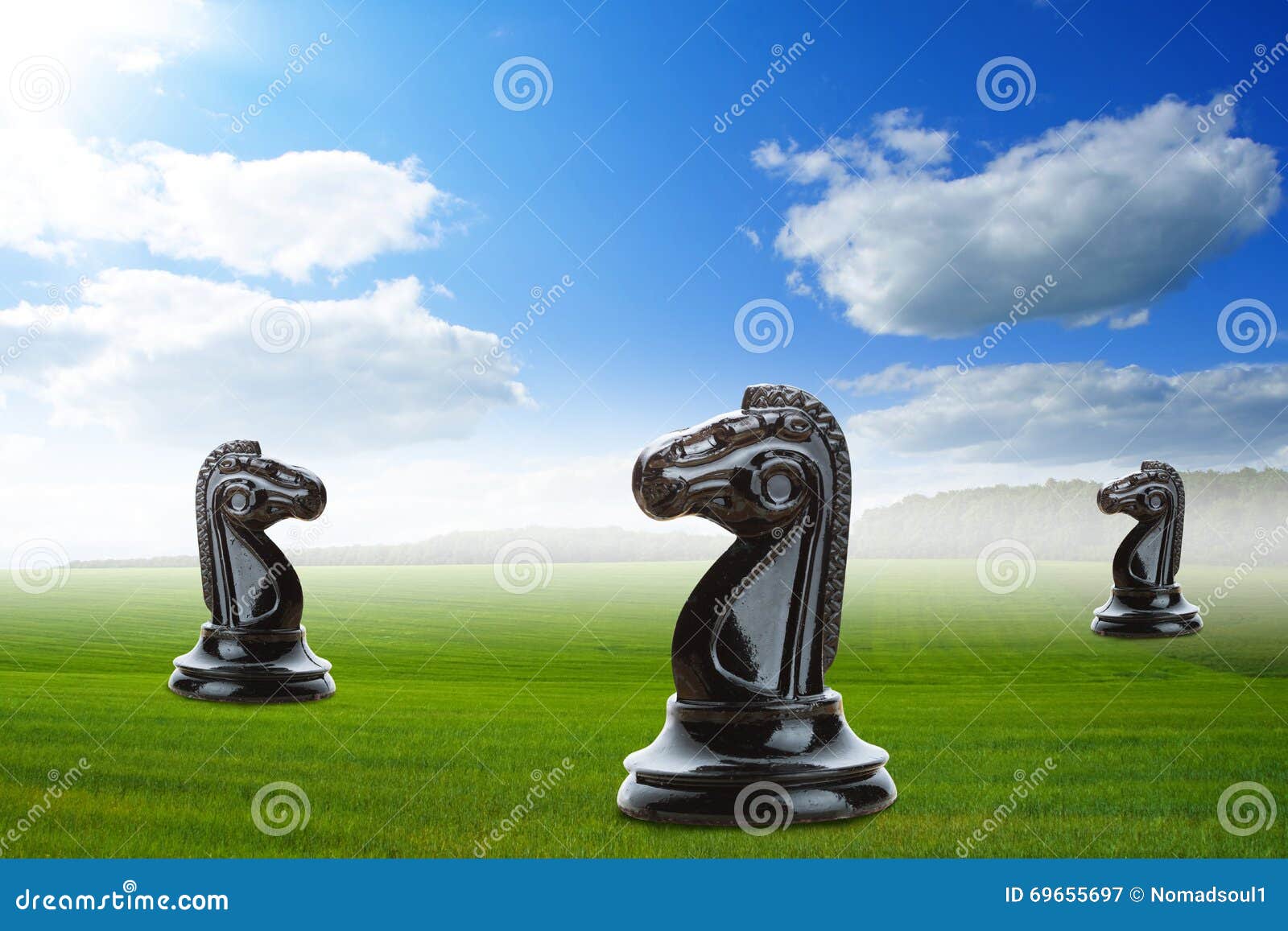Knights on the grass stock image. Image of checkmate - 69655697