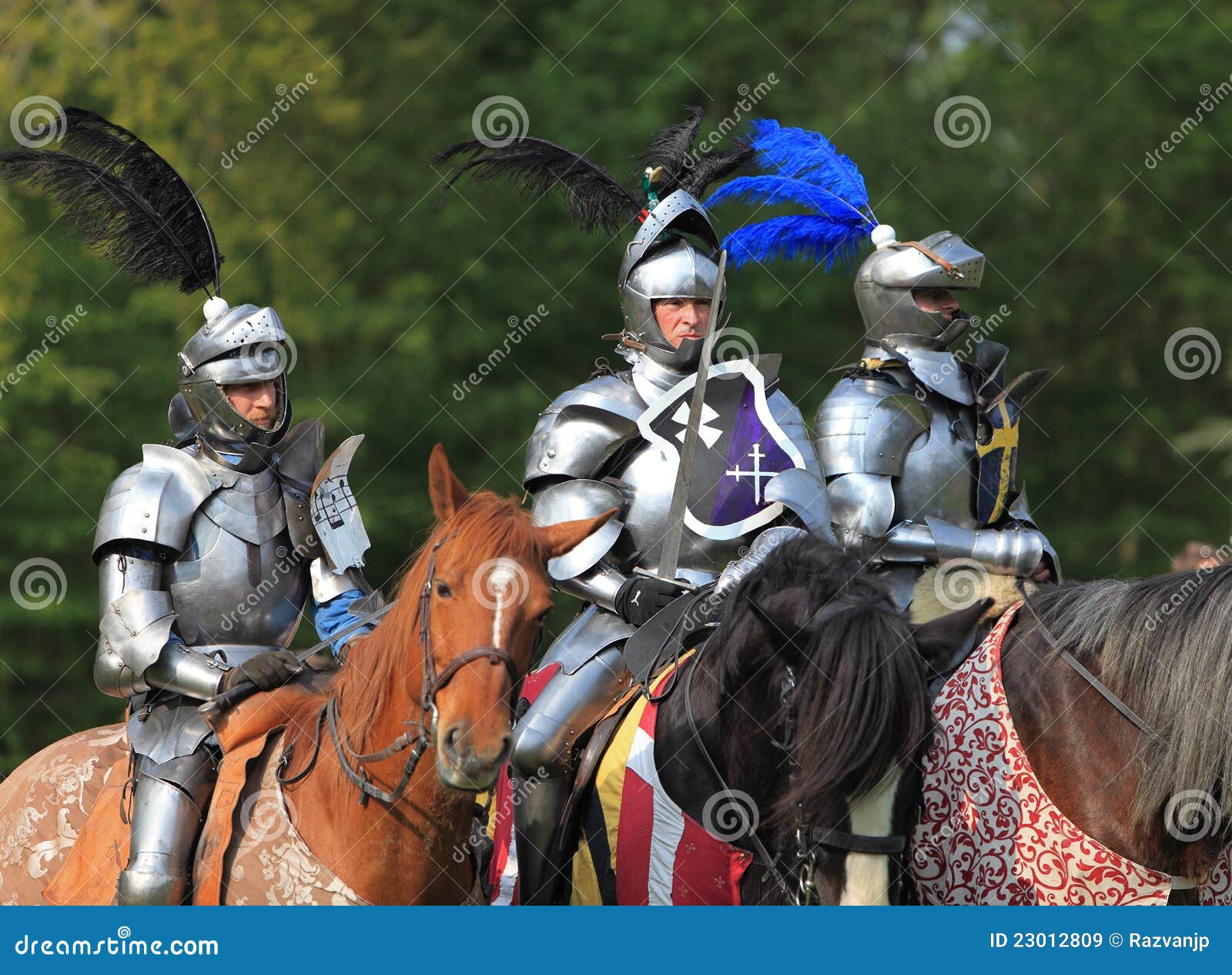 Knigths editorial stock image. Image of knights, tournament - 23012809