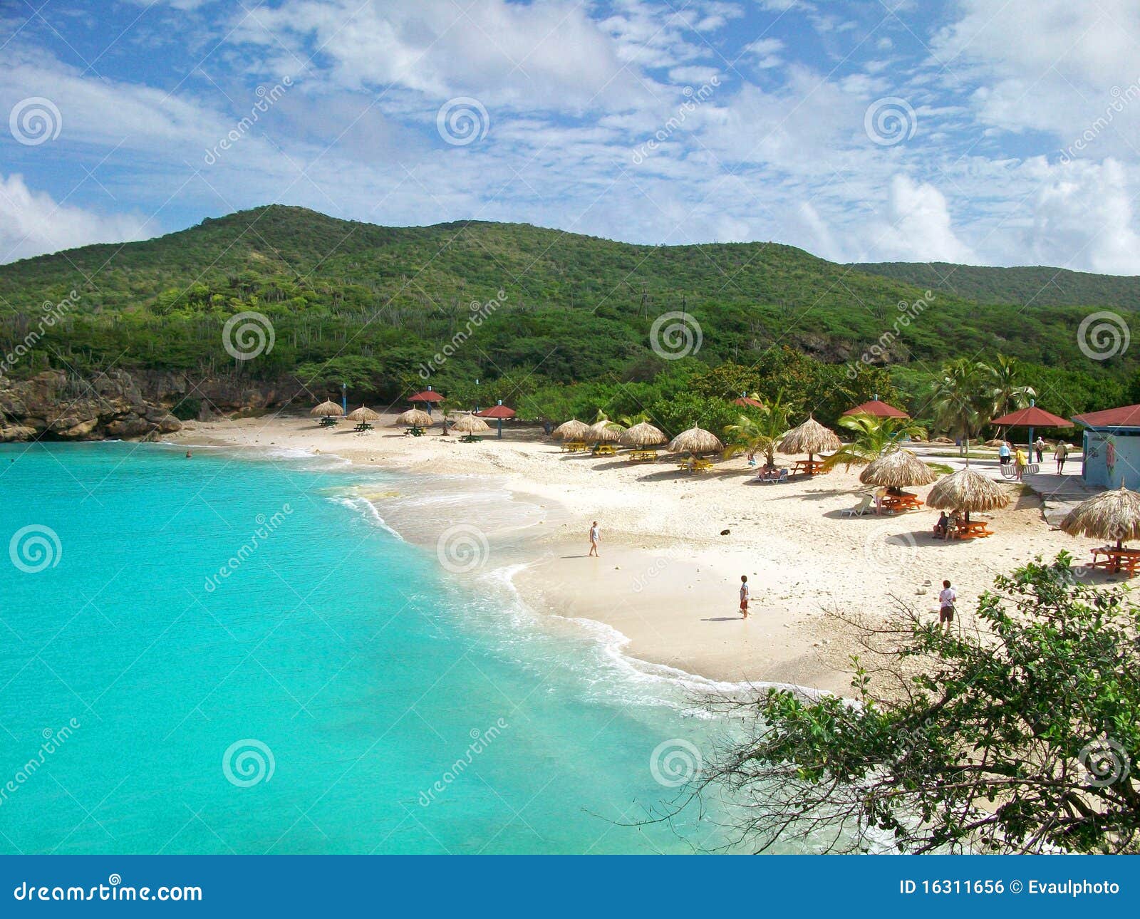 Knip Beach, Curacao stock photo. Image of tropical, coast - 16311656