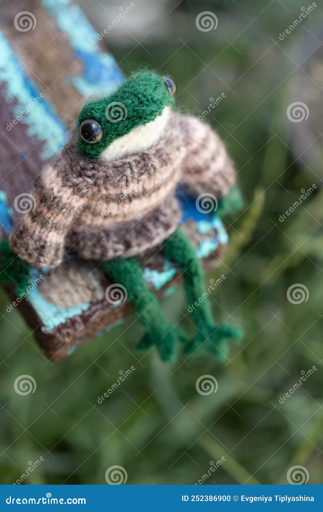 Knitted frog - a toy stock photo. Image of knitted, yarn - 252386900