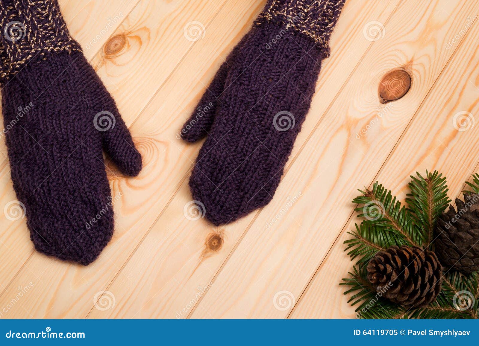 Knitted Mittens with Fir Tree Branch Stock Image - Image of comfortable ...