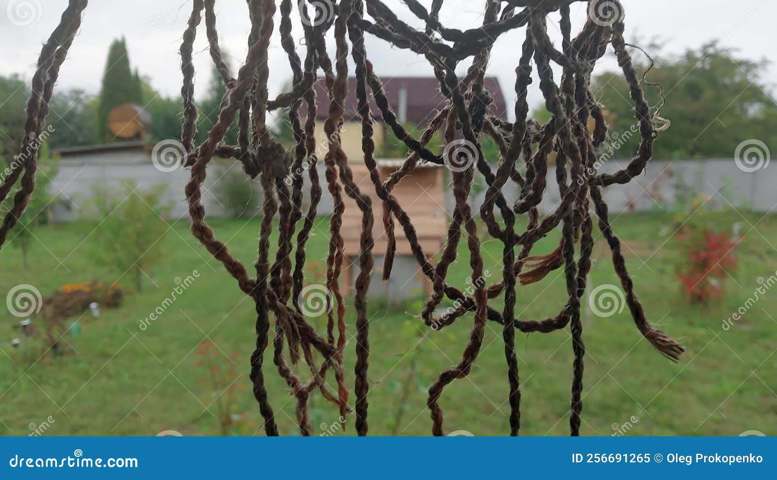 Knitted Rope Hanging on a Tree Stock Video - Video of knit, symbol ...