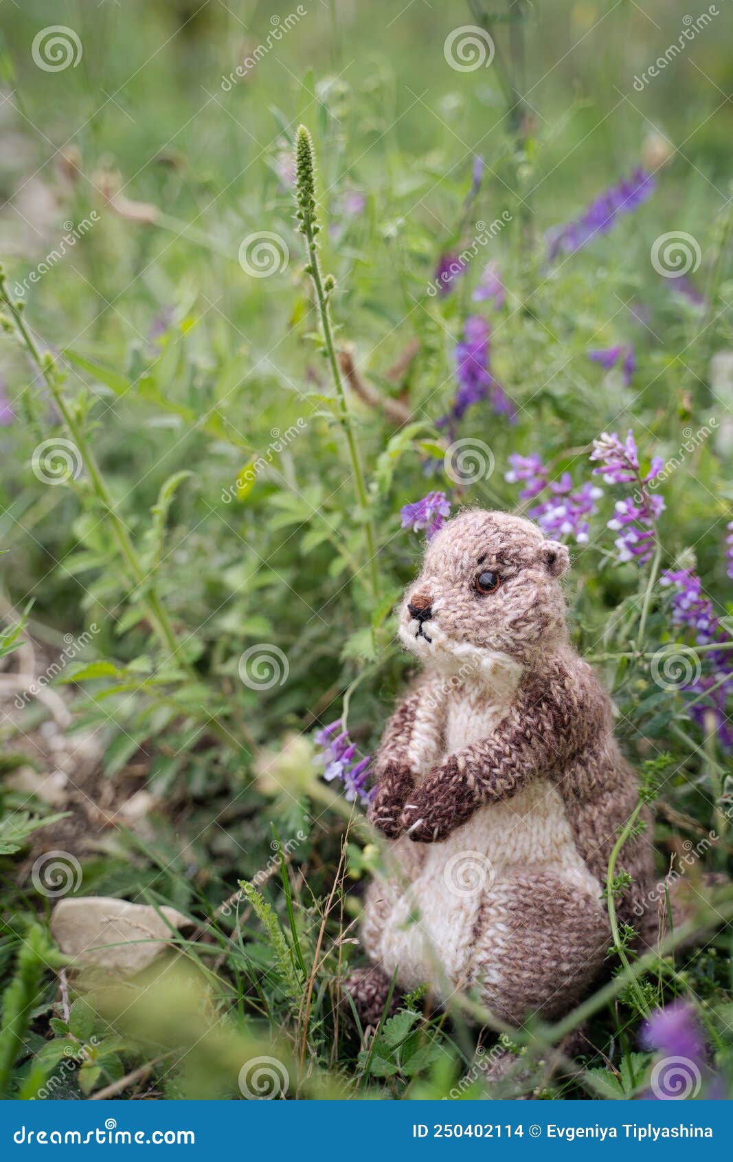 Knitted toy gopher stock photo. Image of knit, handmade - 250402114