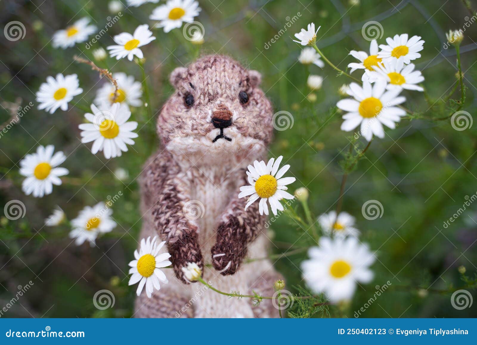 Knitted toy gopher stock image. Image of yarn, holiday - 250402123