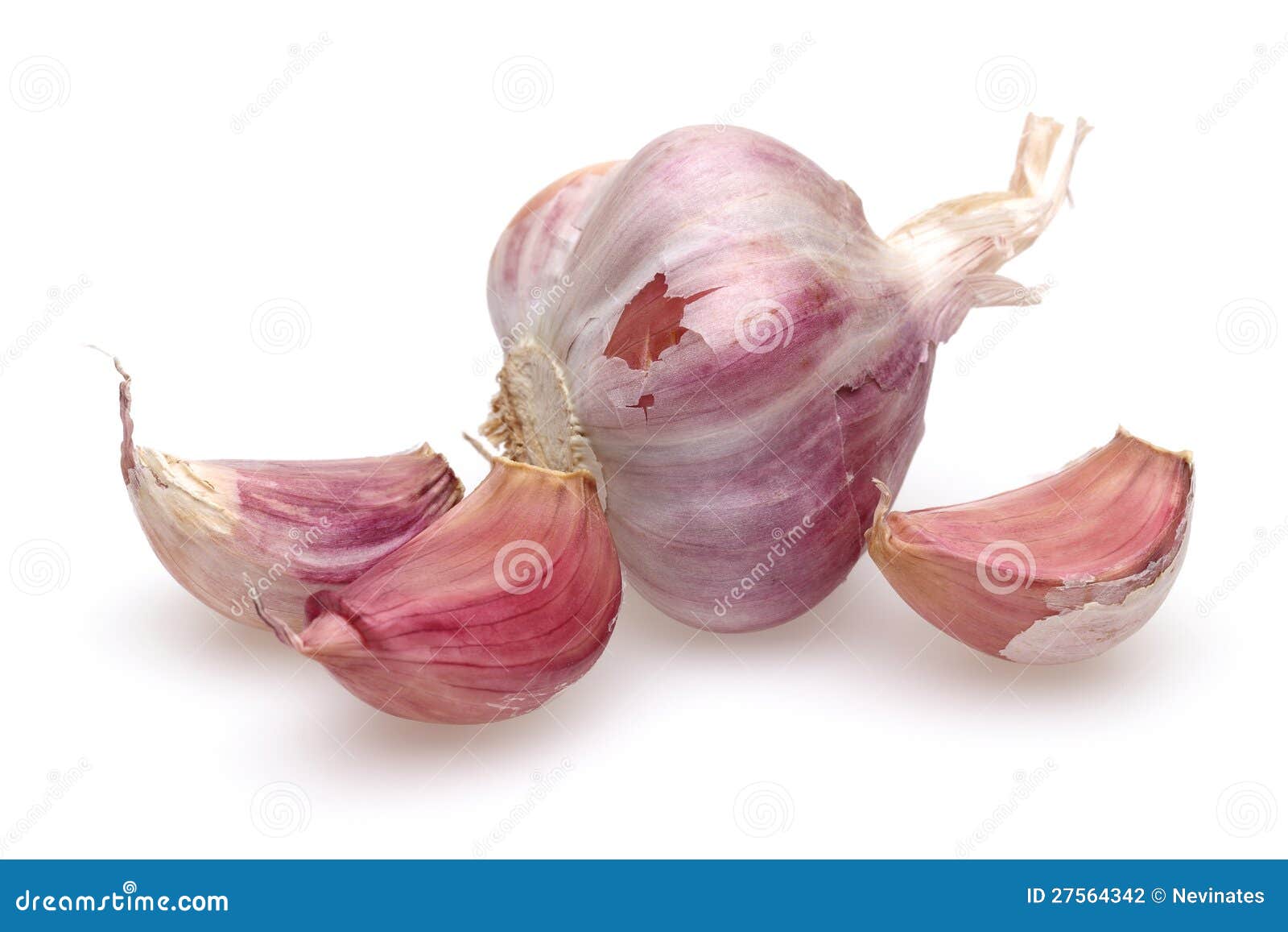 Knoblauch stockfoto. Bild von medizin, kochen, diät, nahrung - 27564342