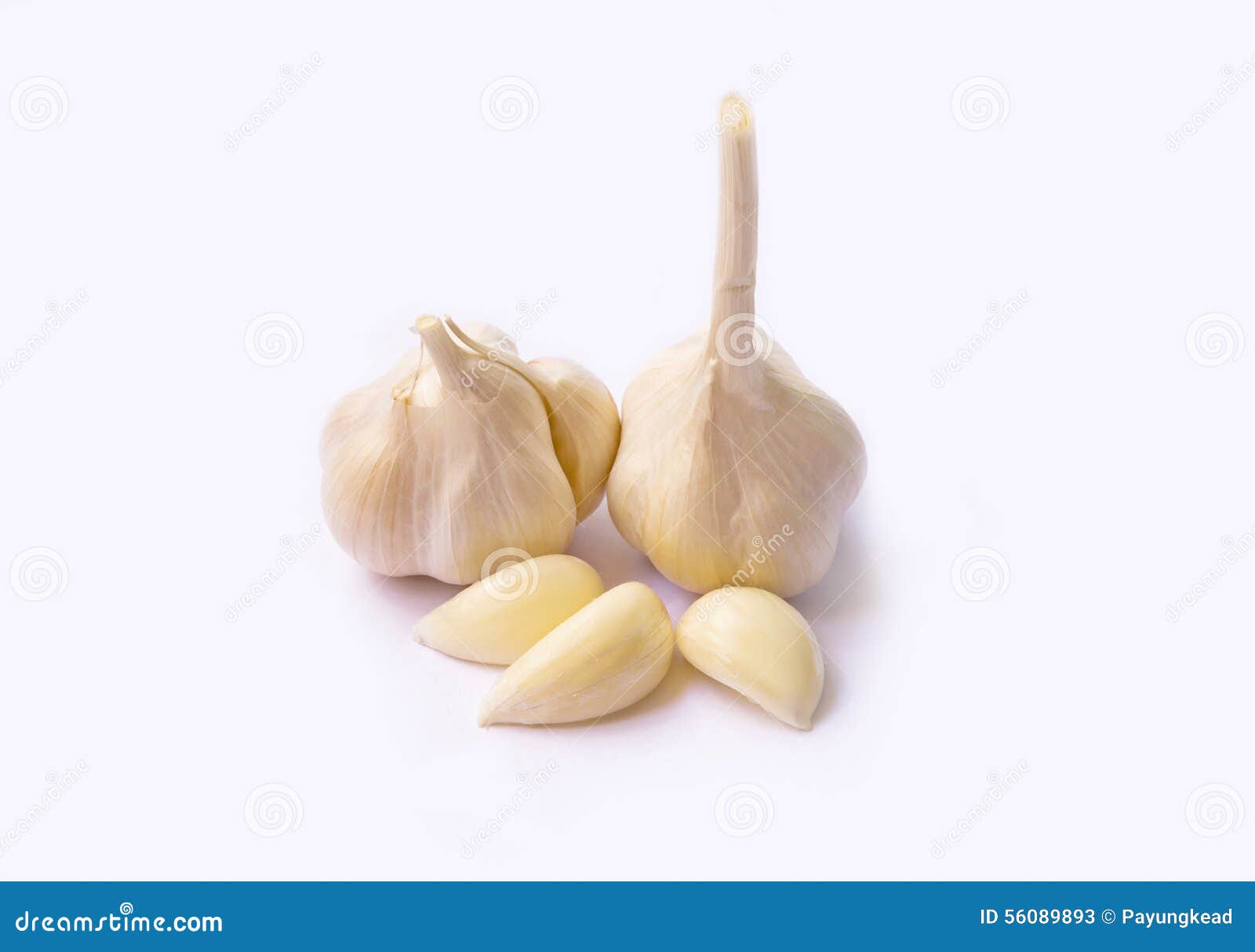 Knoblauch stockbild. Bild von aroma, knoblauch, würze - 56089893