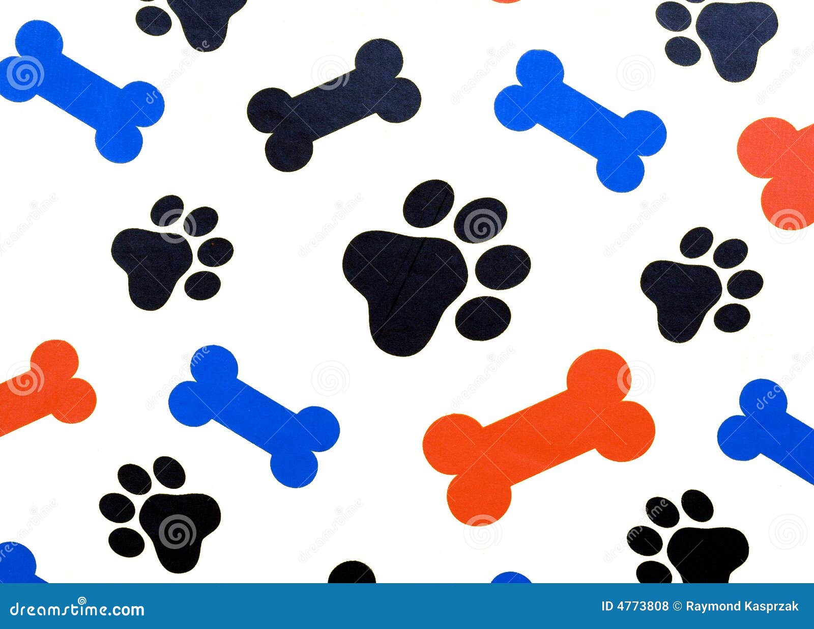 Knochen und Tatzen stockfoto. Bild von schwarzes, tier - 4773808