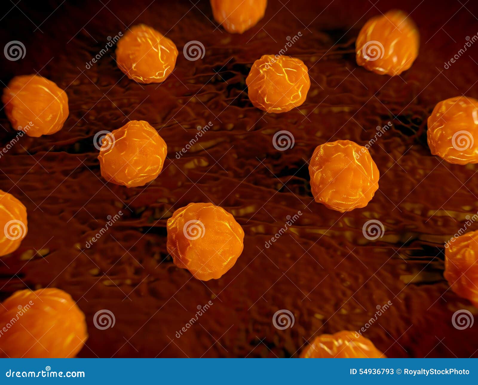 Knochenmark, Stammzellen stock abbildung. Illustration von frost - 54936793