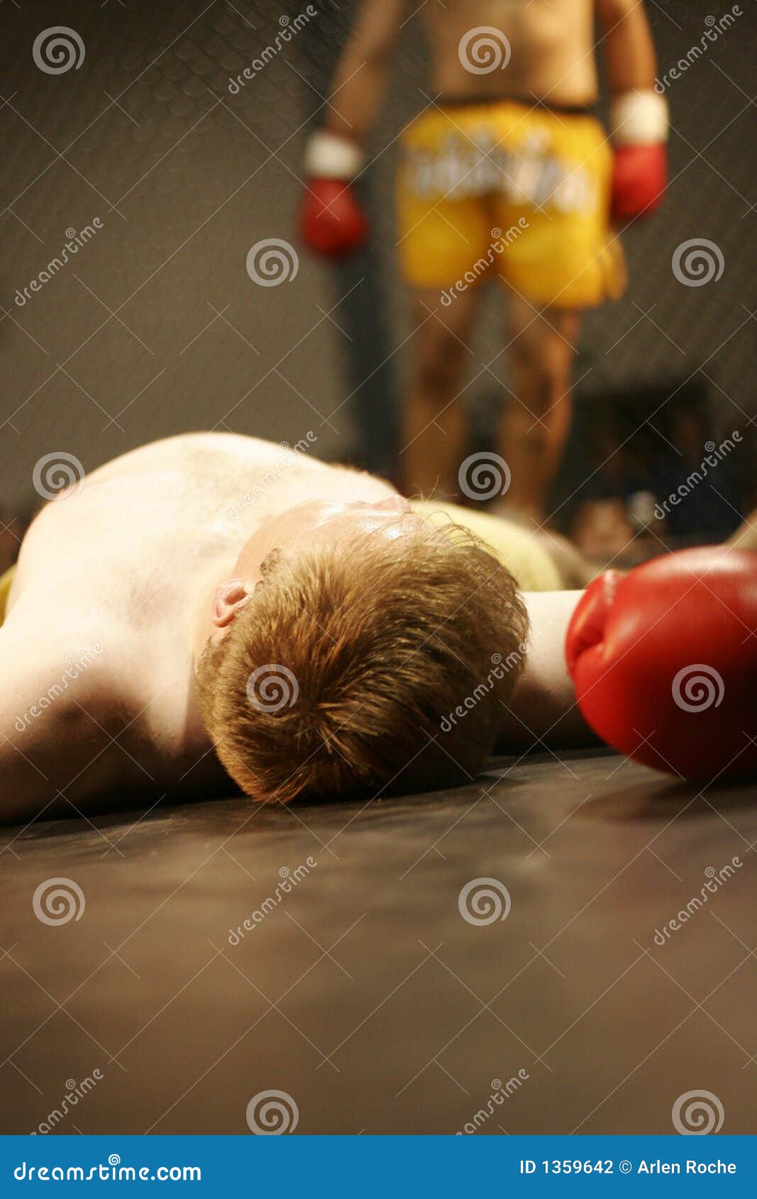 Knock Out stock photo. Image of extream, victory, knockout - 1359642