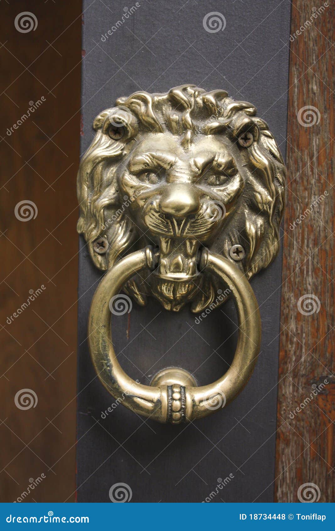 1,011 Gold Leon Stock Photos - Free & Royalty-Free Stock Photos from ...