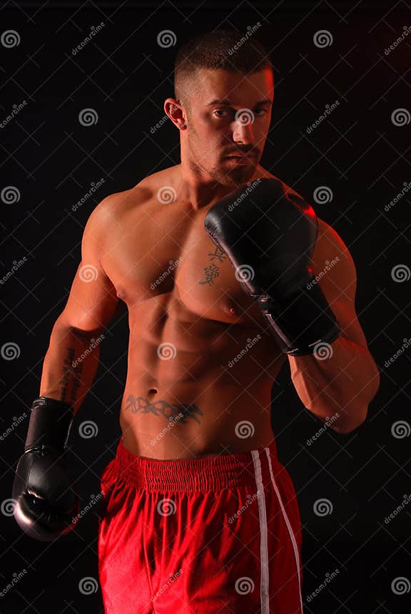 Knockout stock image. Image of muscular, heavyweight, person - 3875293