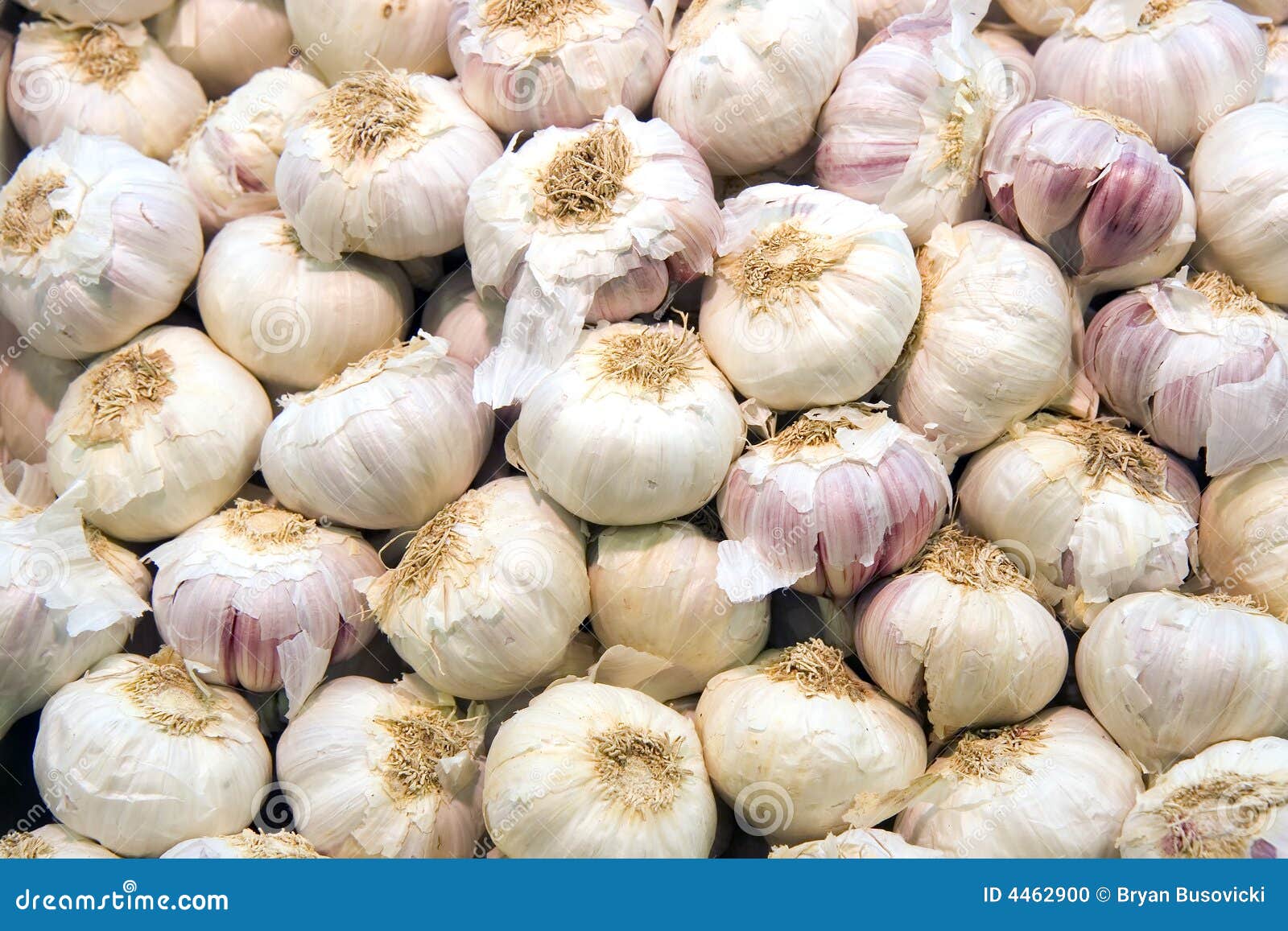 Knoflook stock foto. Image of dieet, voedsel, ingrediënt - 4462900