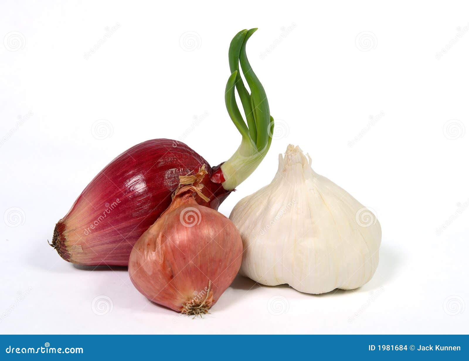 Knoflook, Rode Ui En Sjalot Stock Foto - Image of hoofd, adem: 1981684