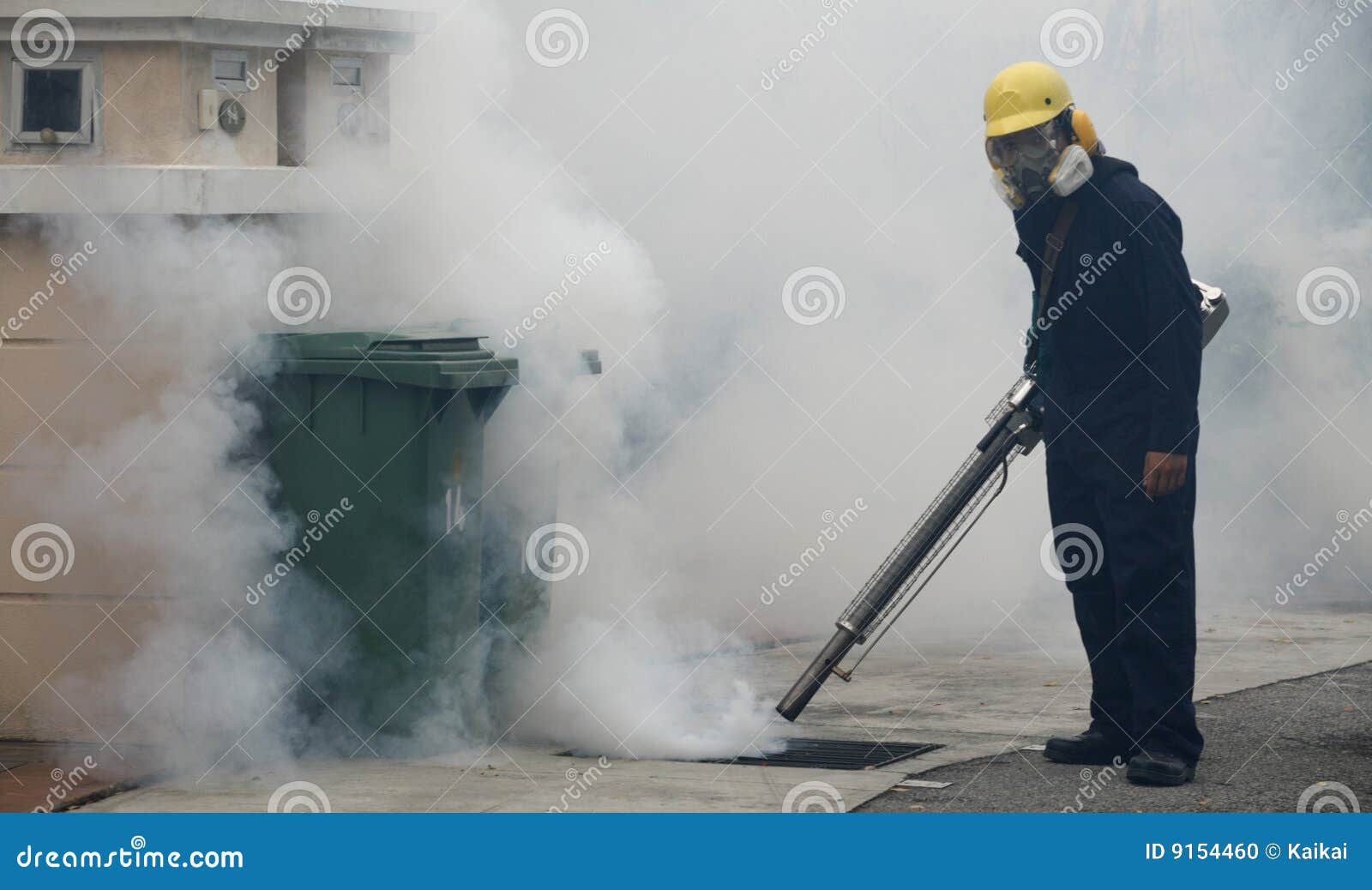 Knokkelkoorts stock foto. Image of mist, biologie, vleugels - 9154460